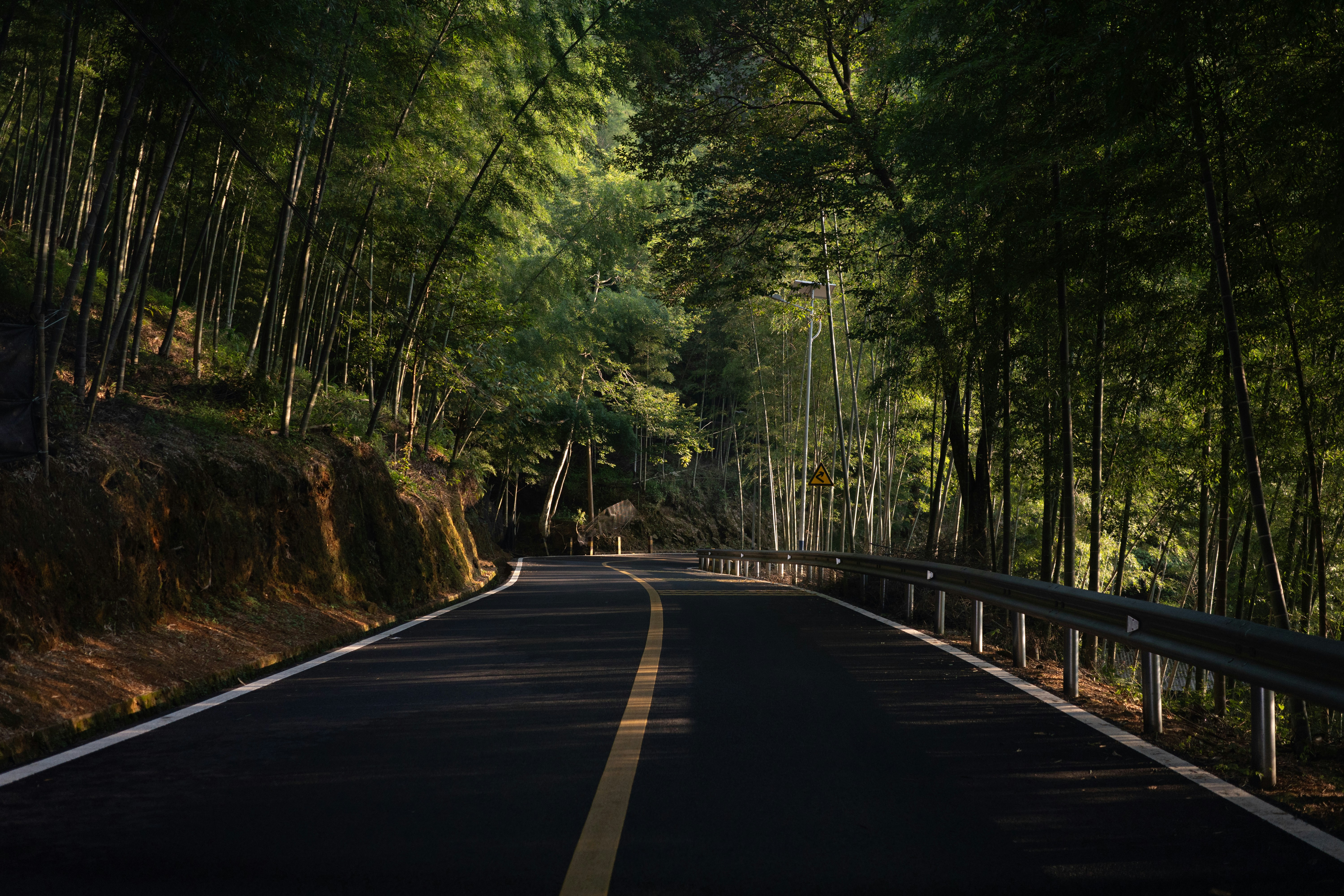 A winding road travels through a forest.