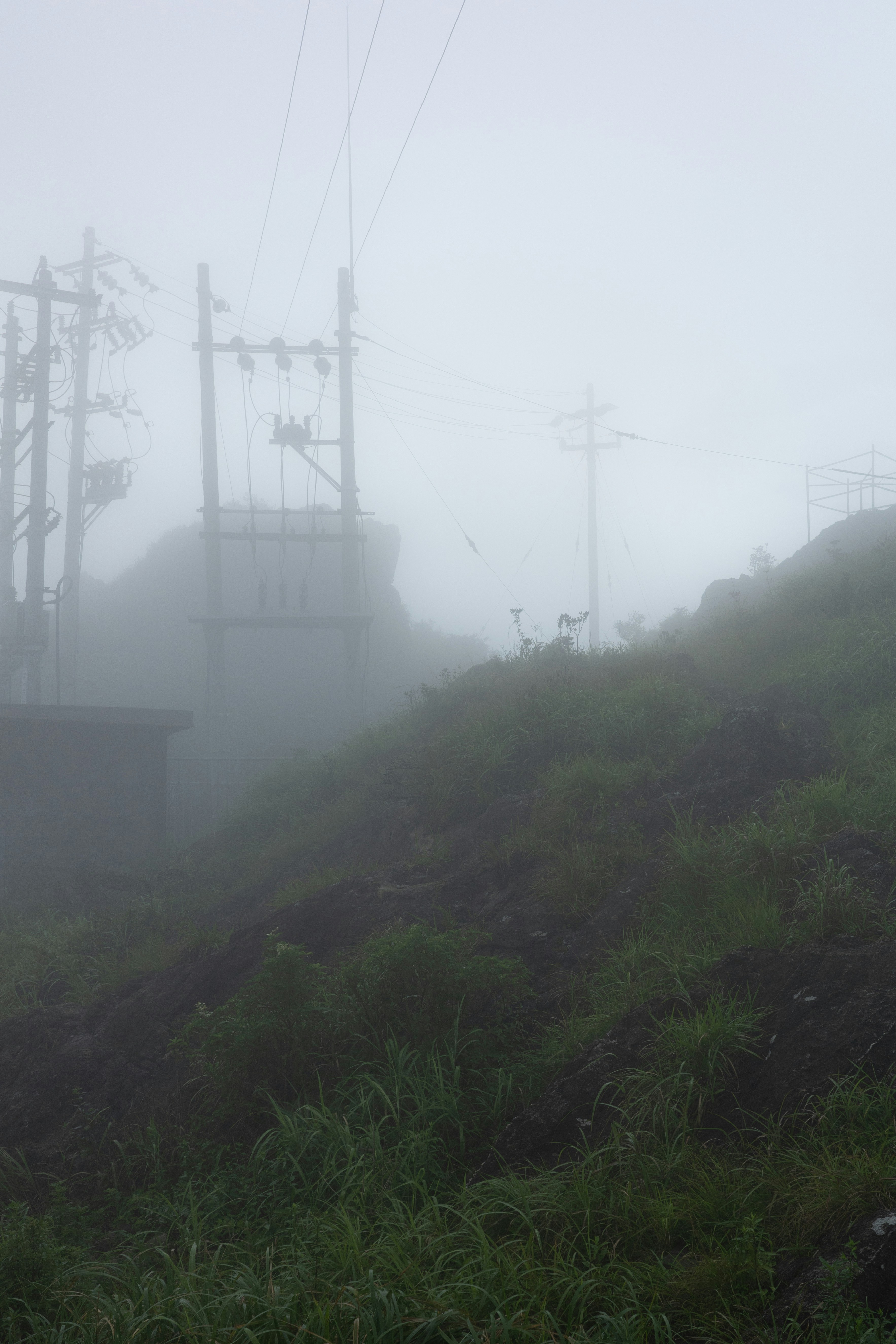 Veil of Mist: The Silent Sentinels