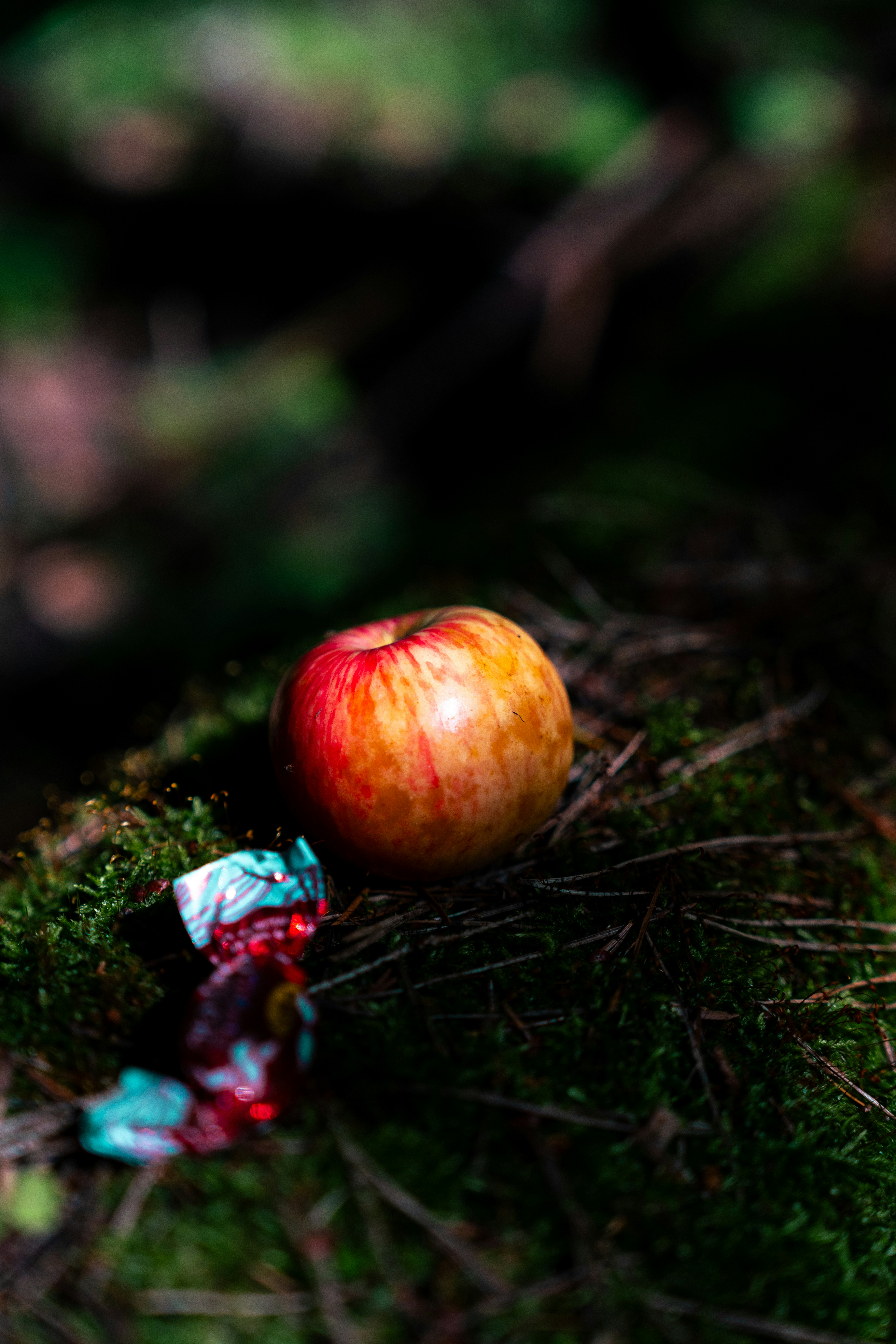 Nature's Sweet Encounter