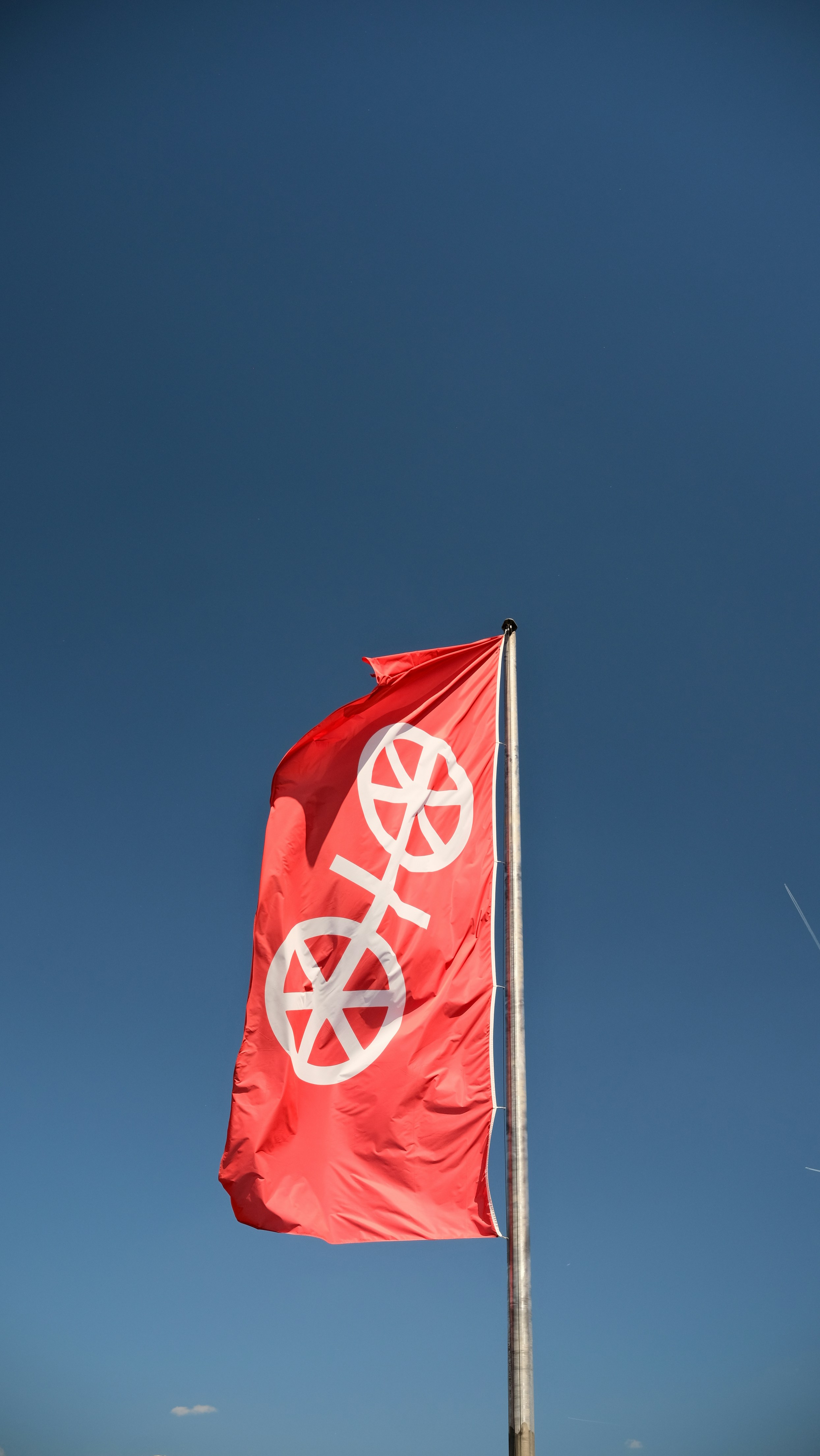 Waving Symbol of Unity