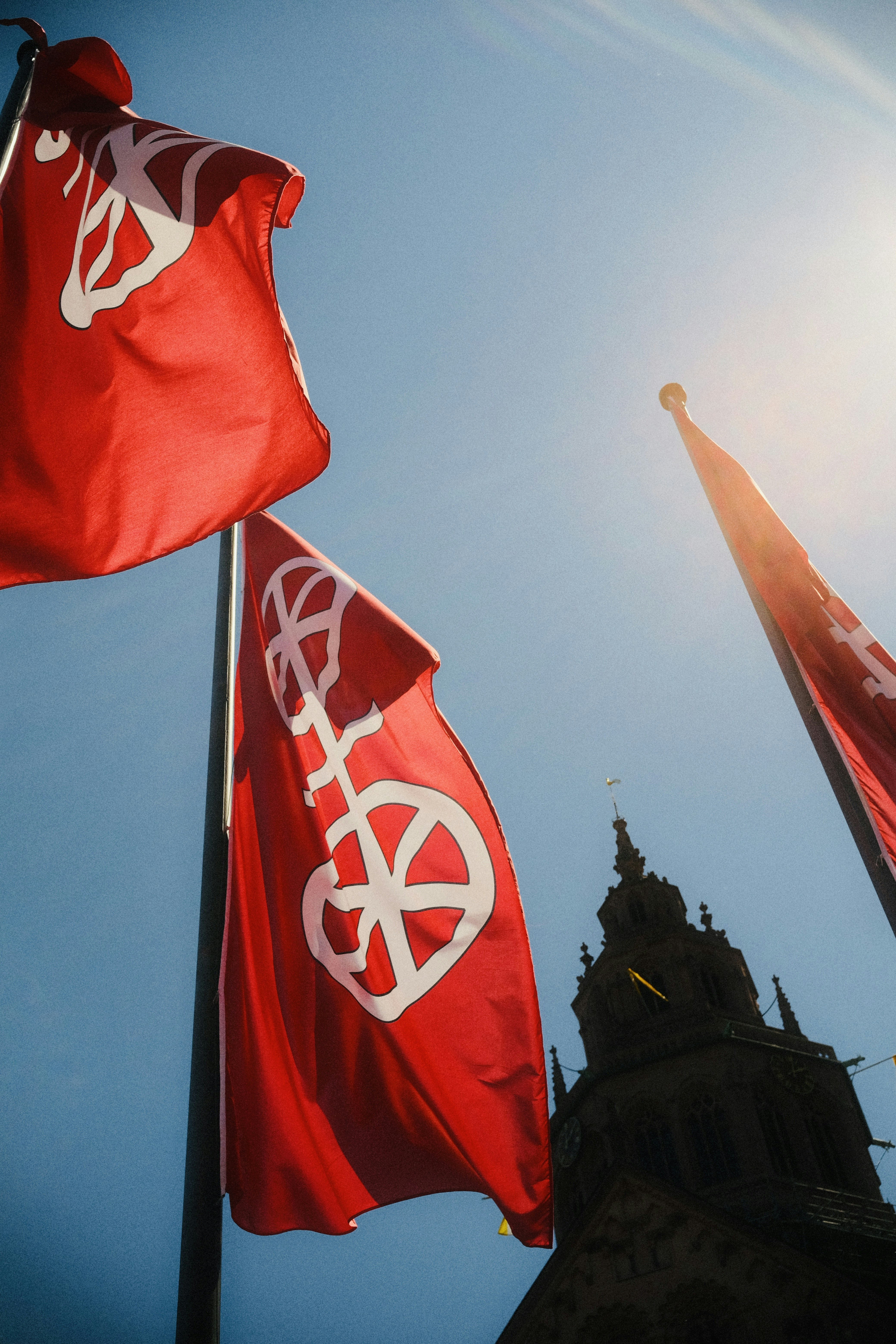 Waves of Tradition: The Flags of Heritage