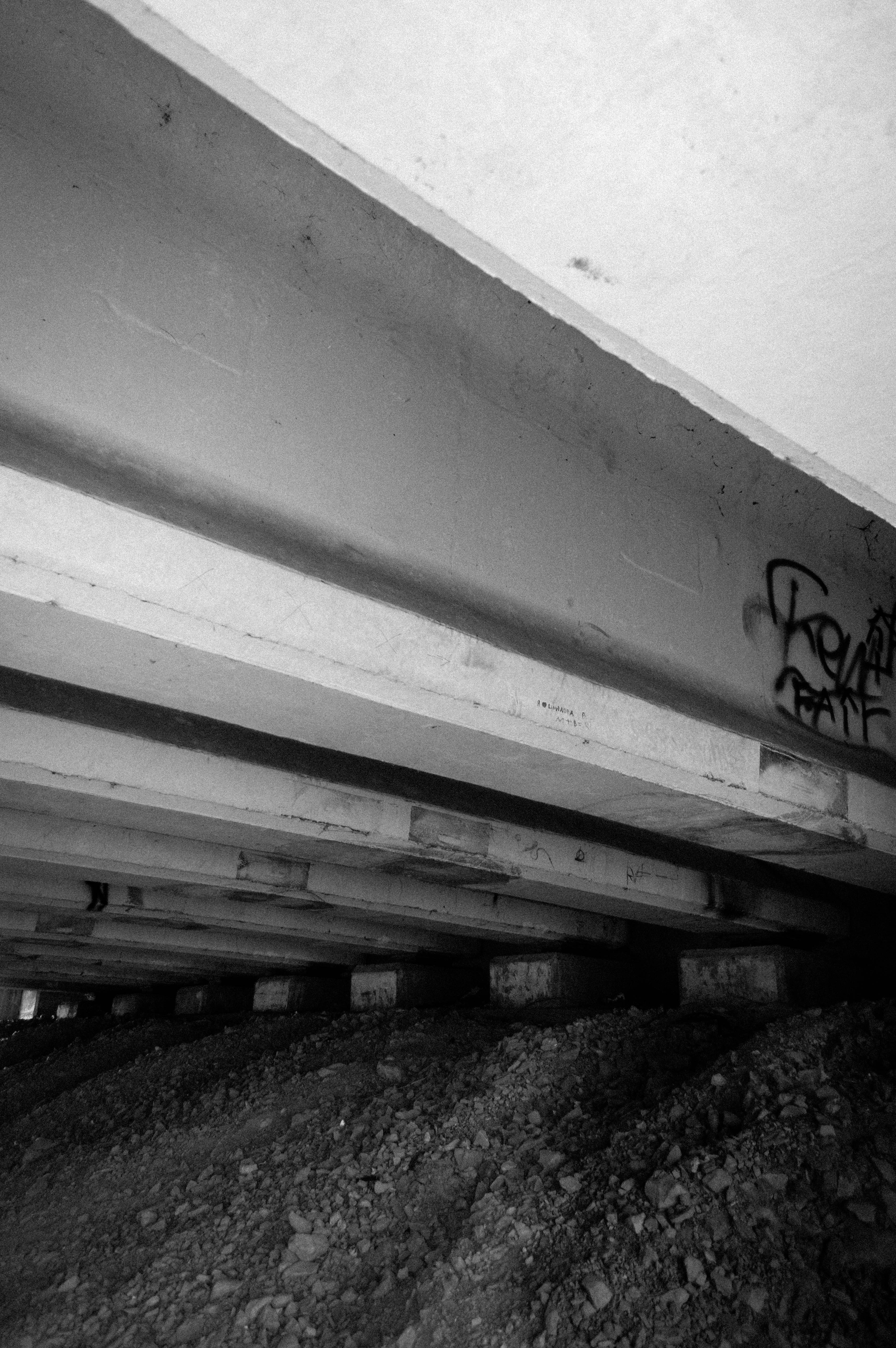 Under the Concrete Canopy: A Study in Shadows