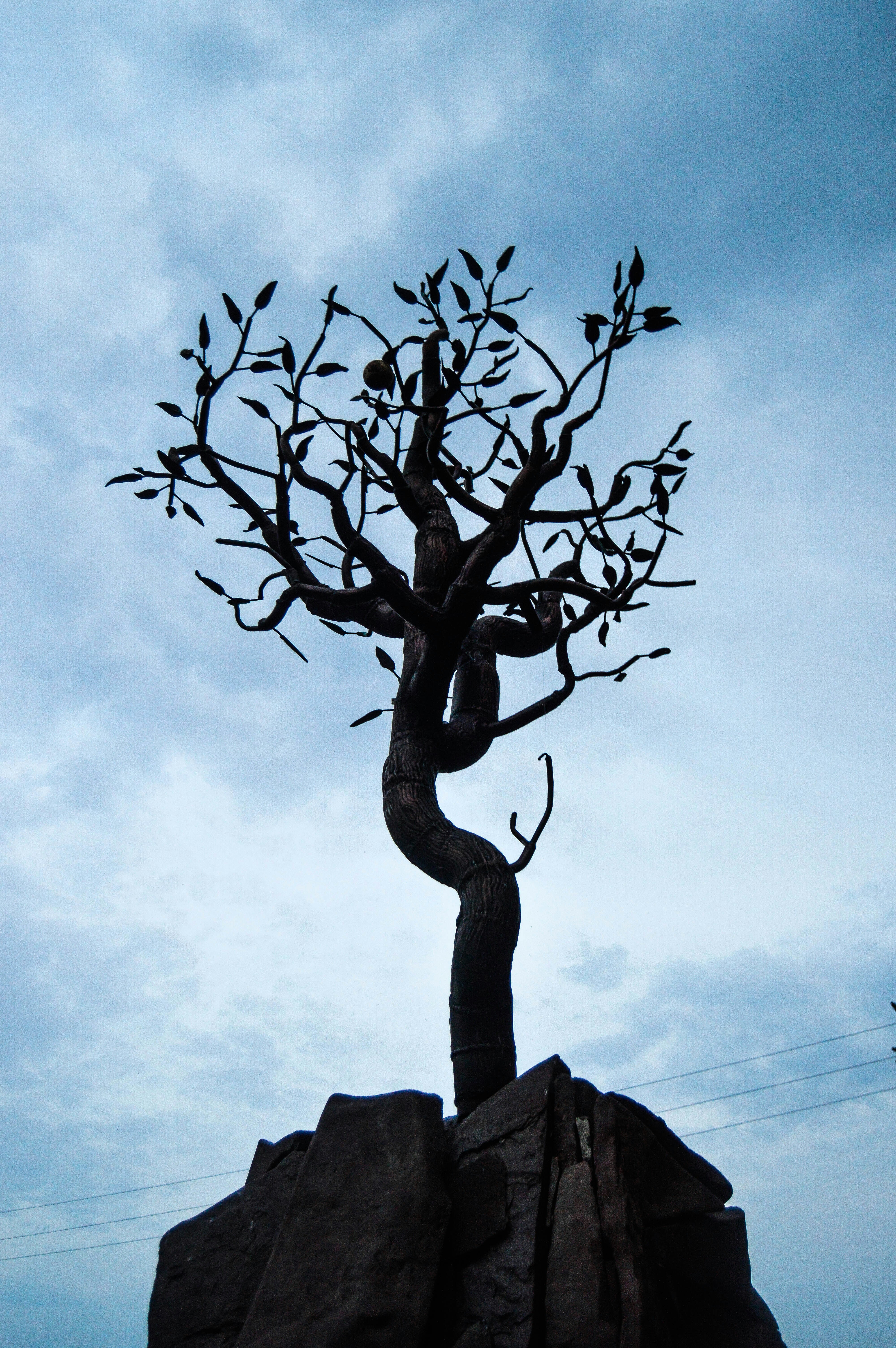 Whispers of Resilience: The Iron Tree