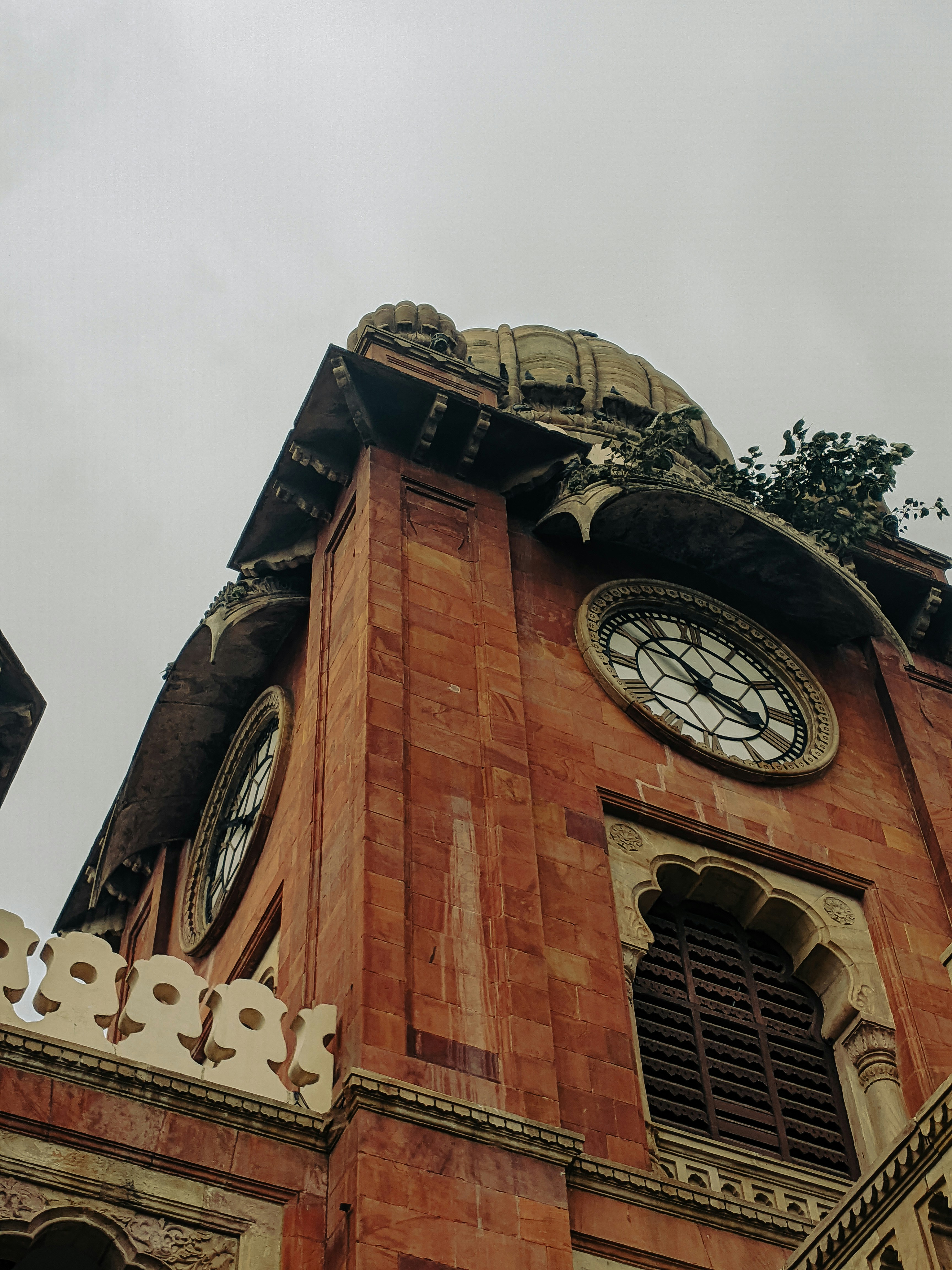 Historic building showcasing intricate architecture with a prominent dome and detailed windows, surrounded by greenery.