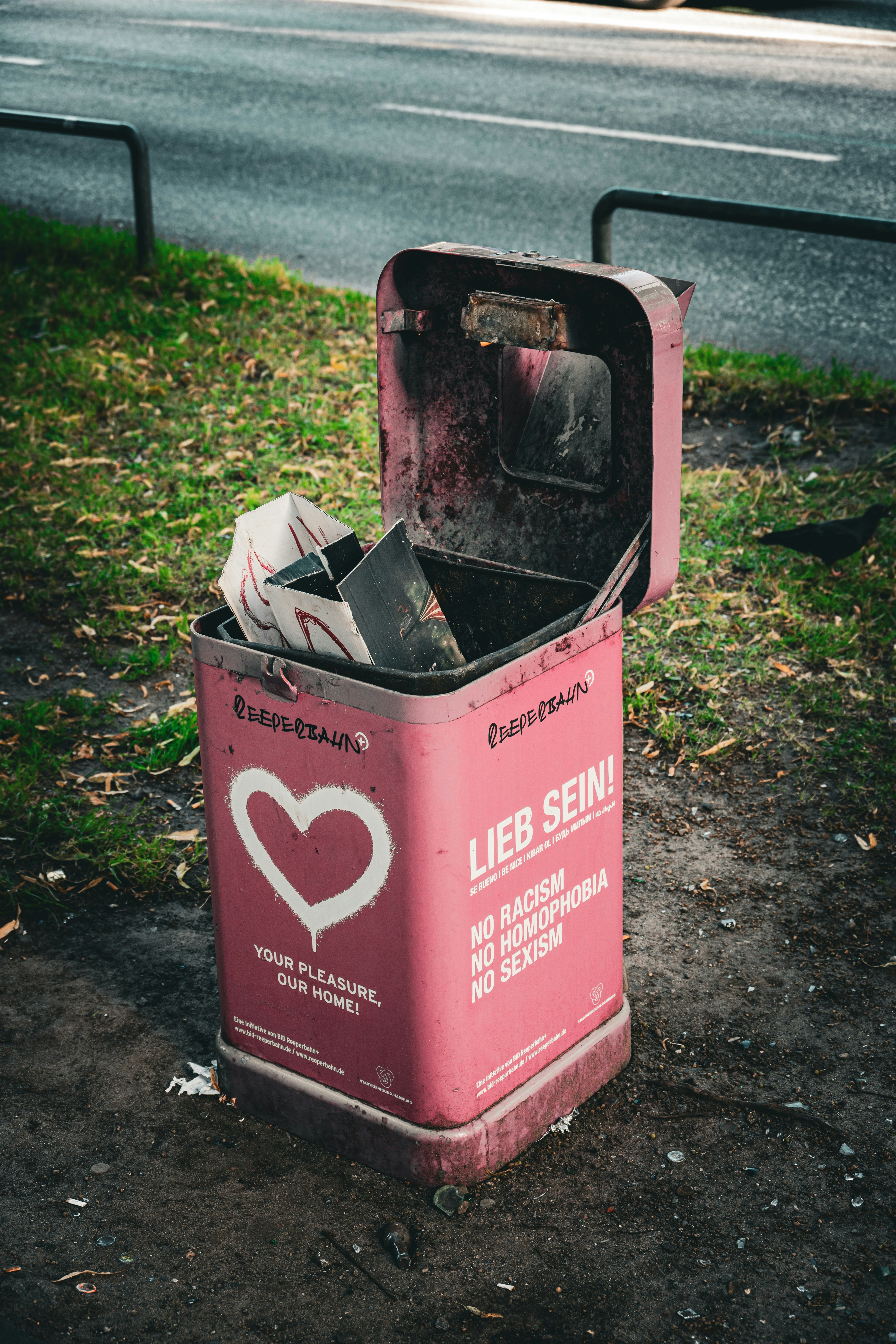 Sample photo from Nikon Z6 III