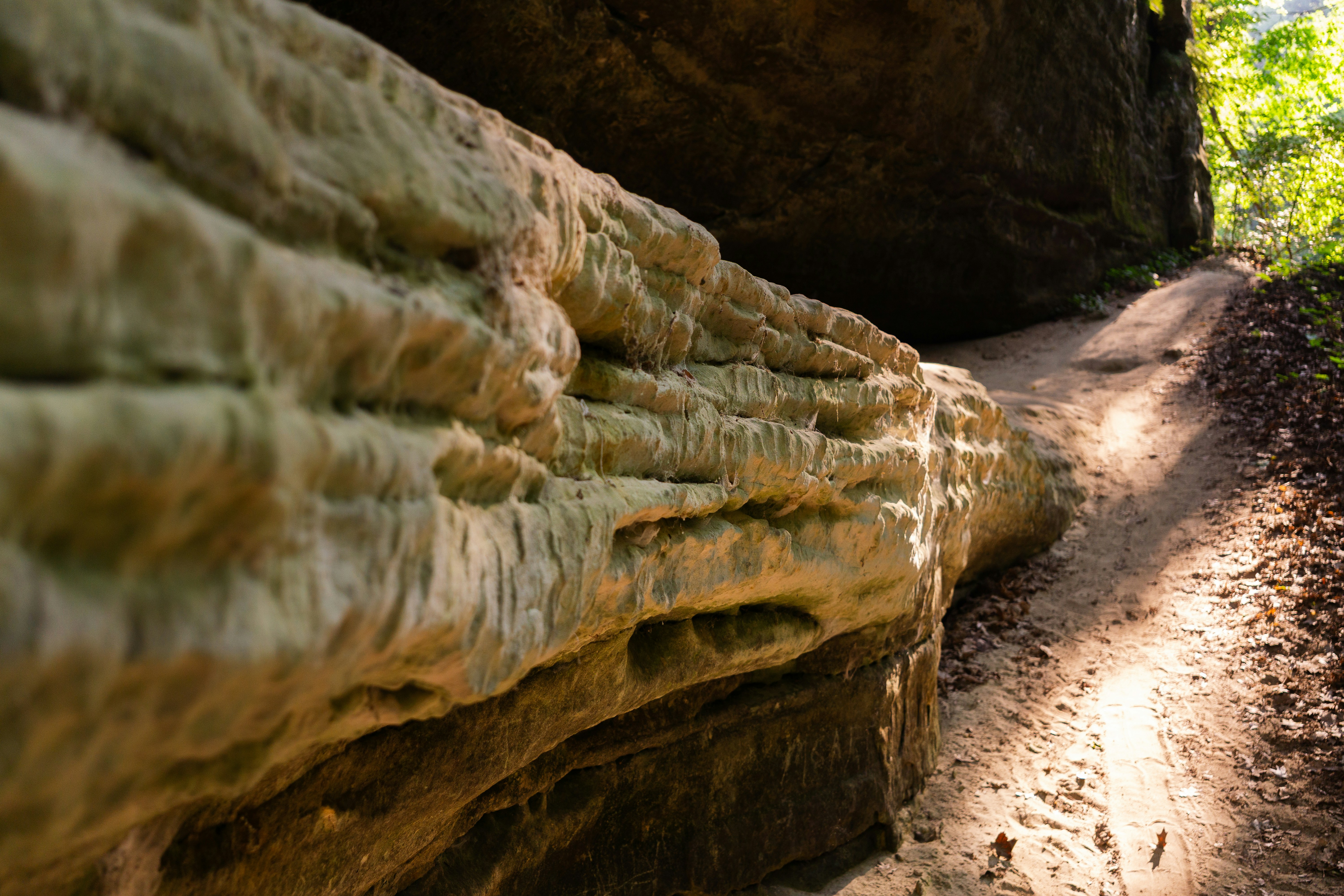 Intricate rock formations line a sandy trail, illuminated by dappled sunlight filtering through lush greenery.