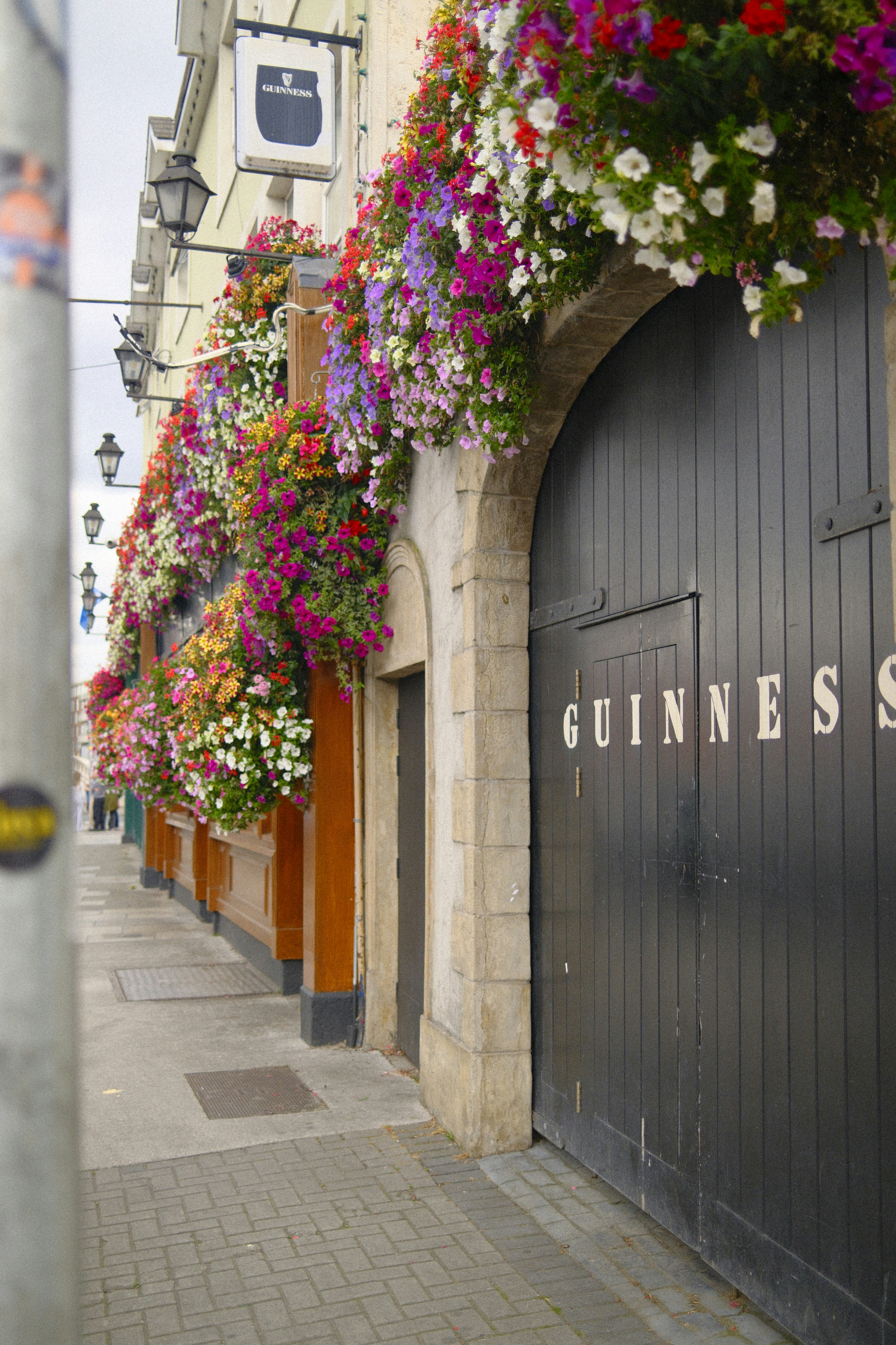 Flower-filled arches frame a dark Guinness door along a quaint street, guiding the viewer toward the branded gateway.