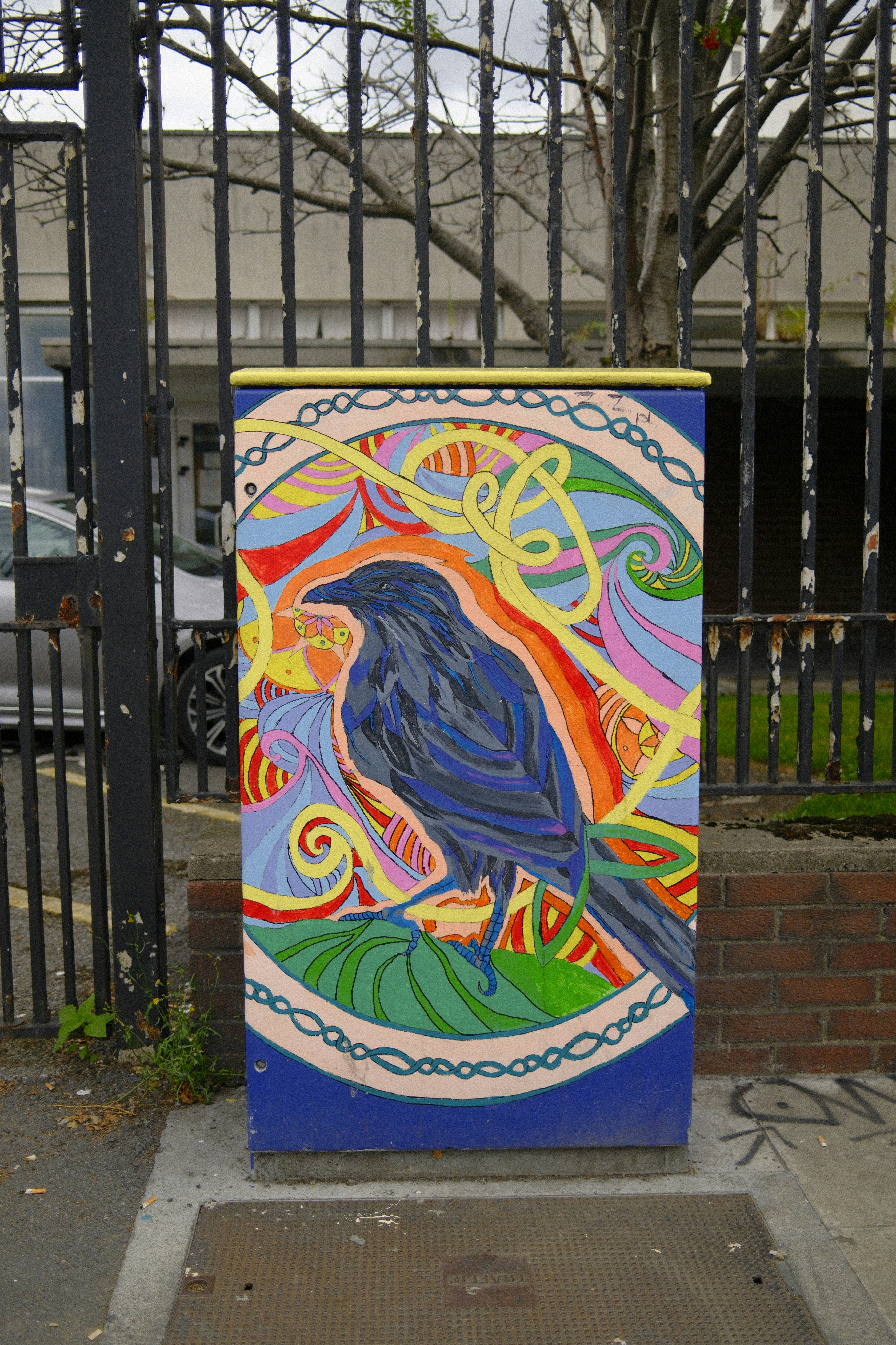 Whimsical Avian Vibes on Urban Canvas