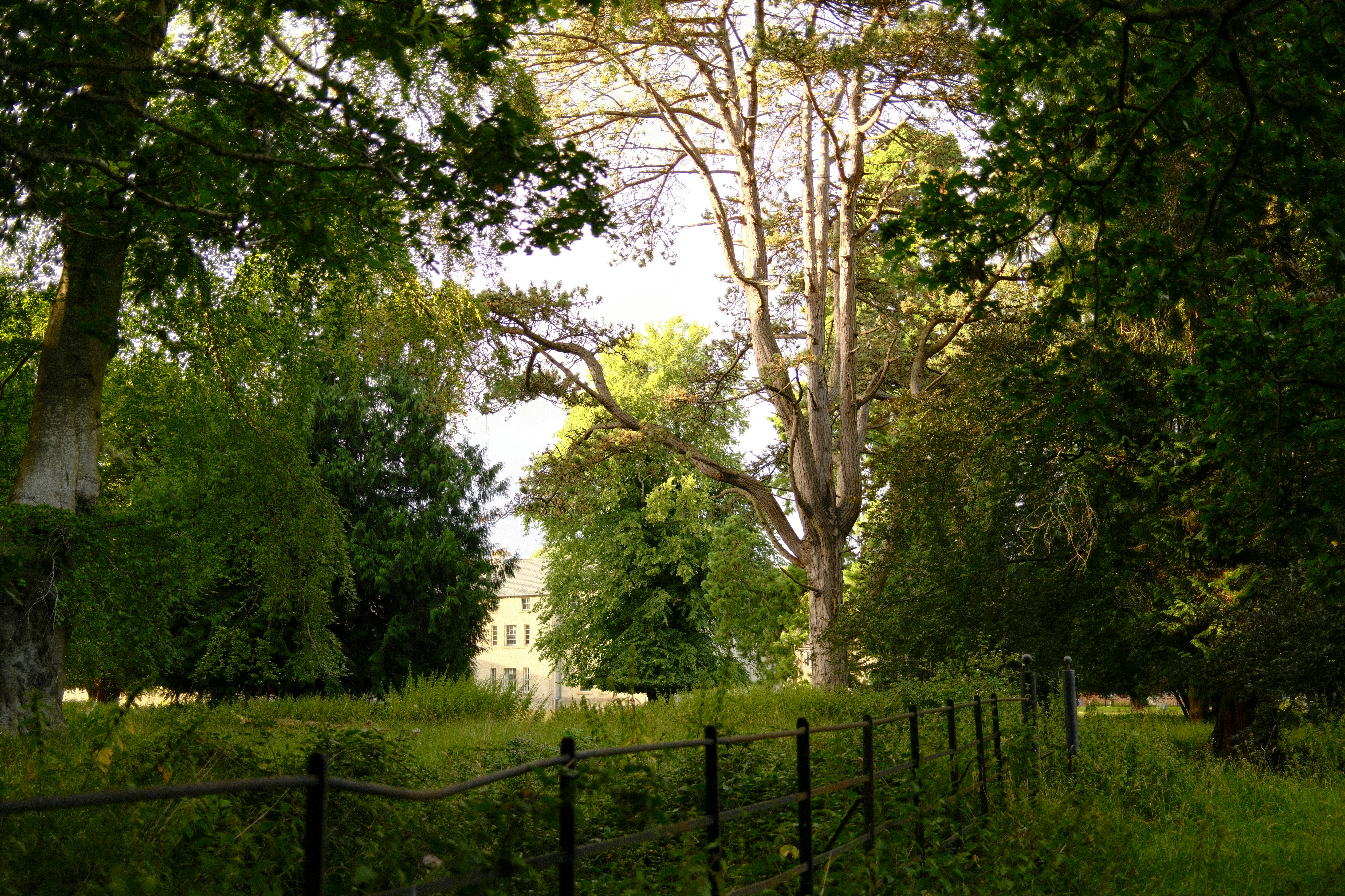 Trees and green grass are visible in the landscape.