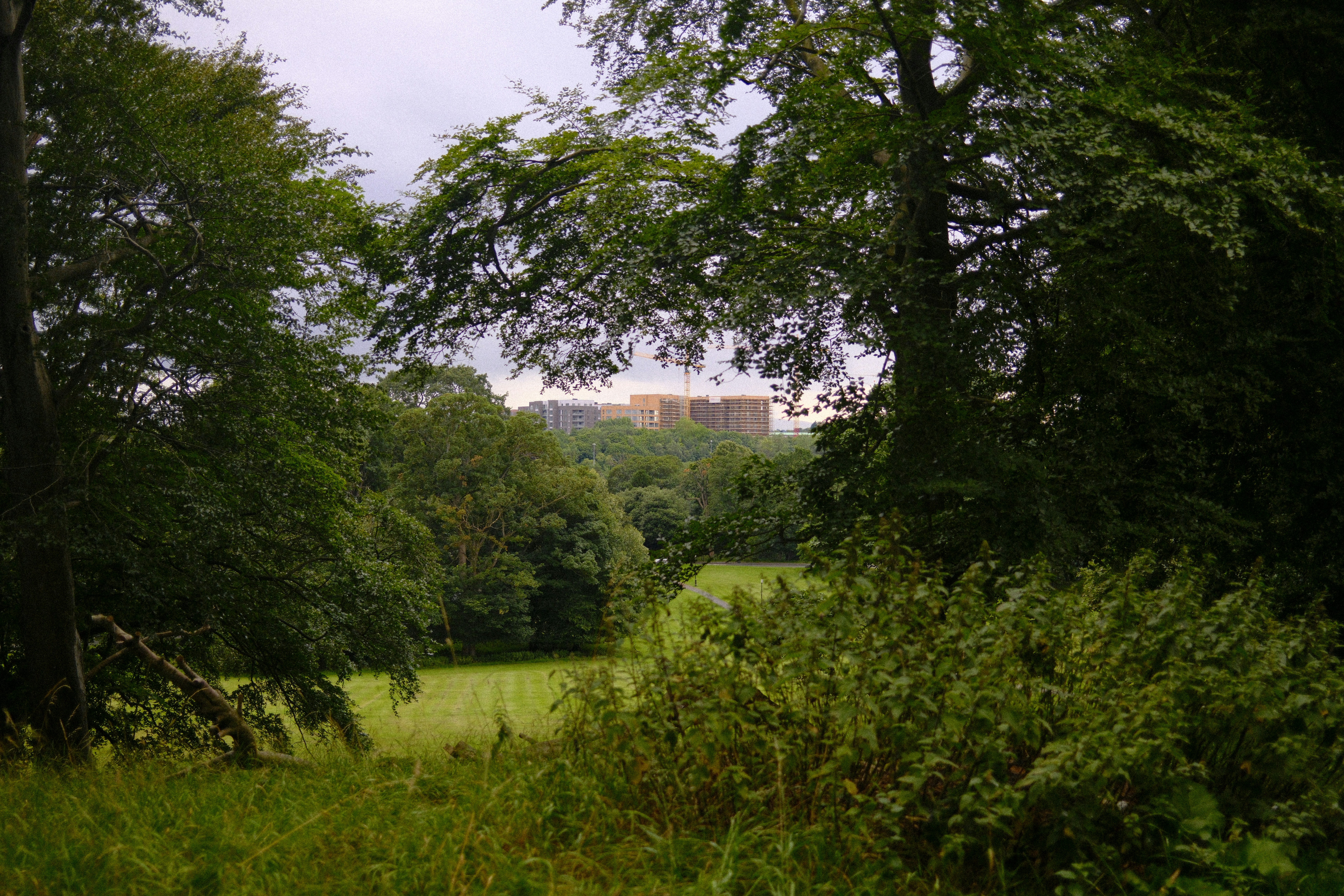 Green trees frame a distant building in a field.