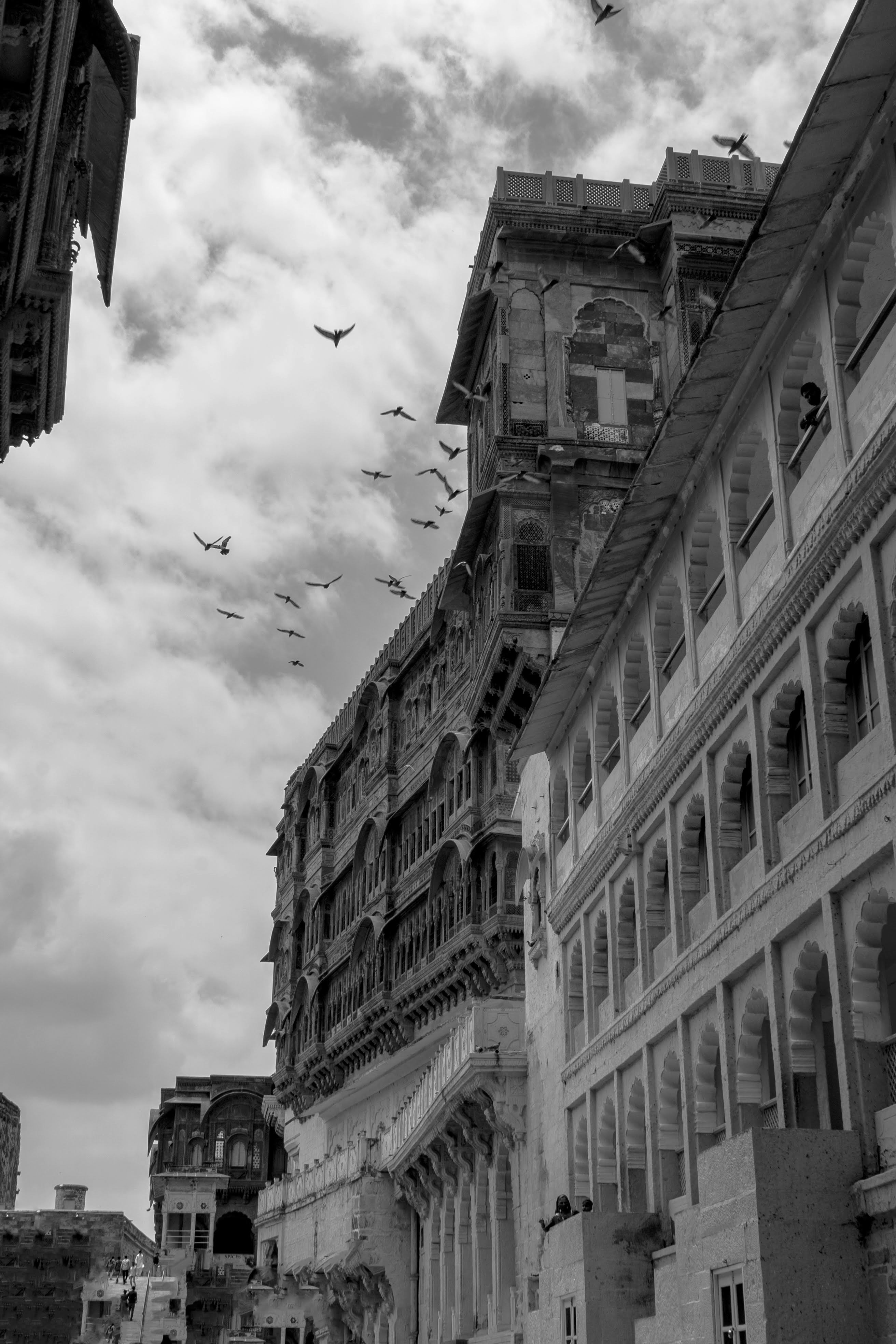 Title: Echoes of the Fort – Mehrangarh, Jodhpur A timeless black and white image capturing the grandeur of Mehrangarh Fort, one of India’s largest and most magnificent forts, located in Jodhpur, Rajasthan. The shot frames intricate Rajput architecture rising powerfully into the cloudy sky, while a flock of birds takes flight, adding motion and mood. The interplay of shadow and stone evokes a deep sense of history, strength, and silence | Birds fly over an ancient building.