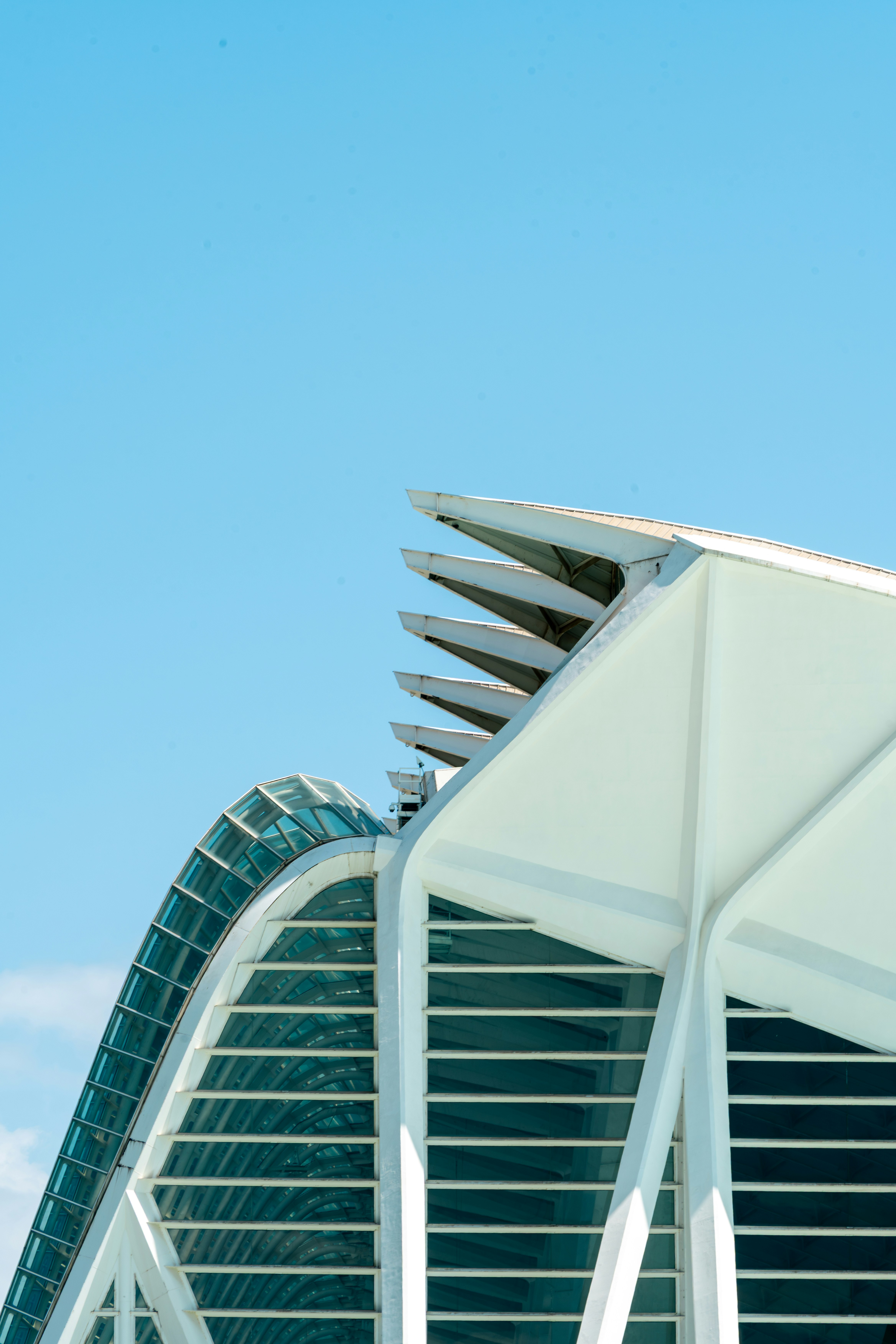 Architectural Elegance: A Modern Canopy