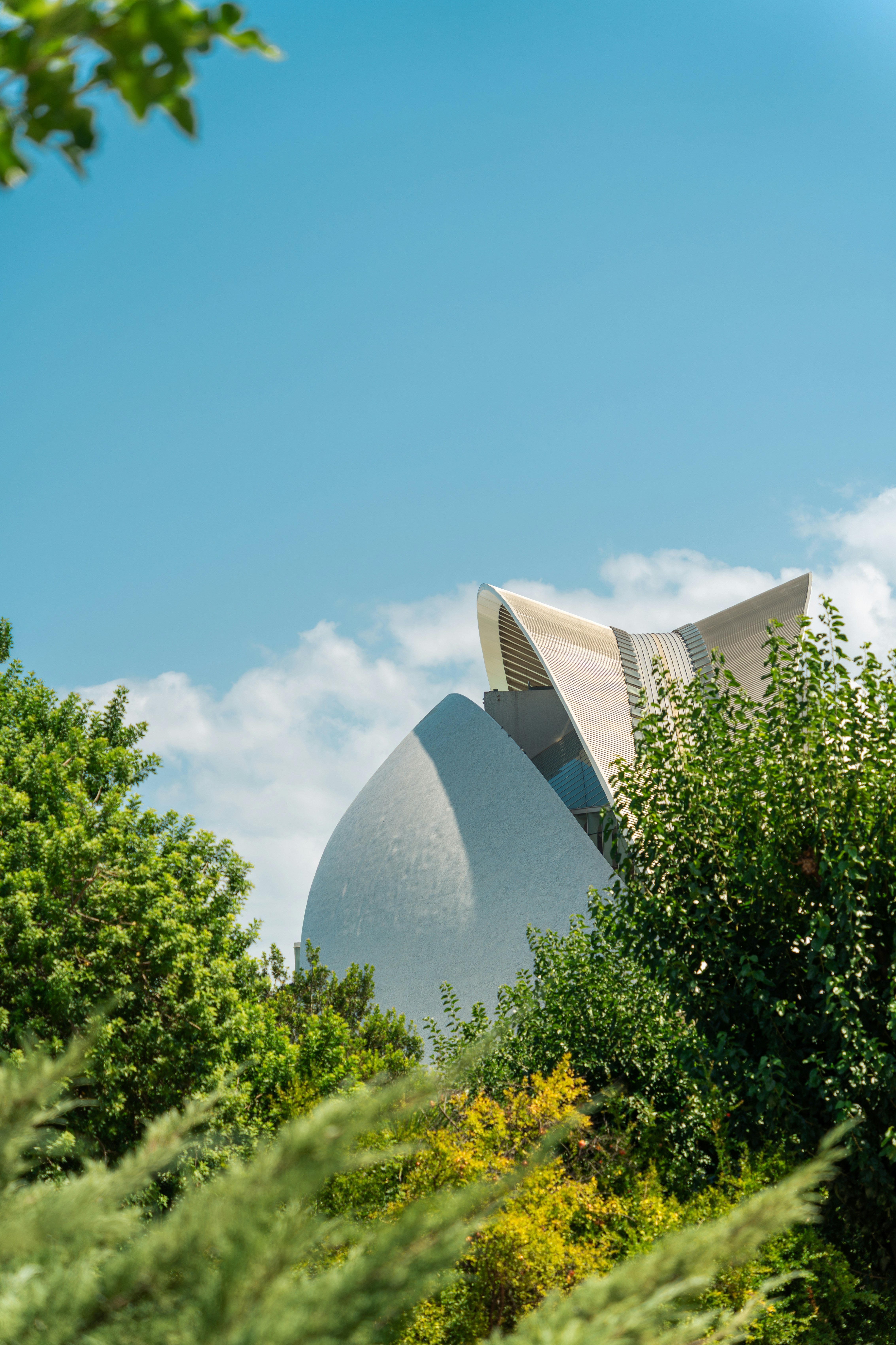 Modern Architecture Meets Nature's Embrace