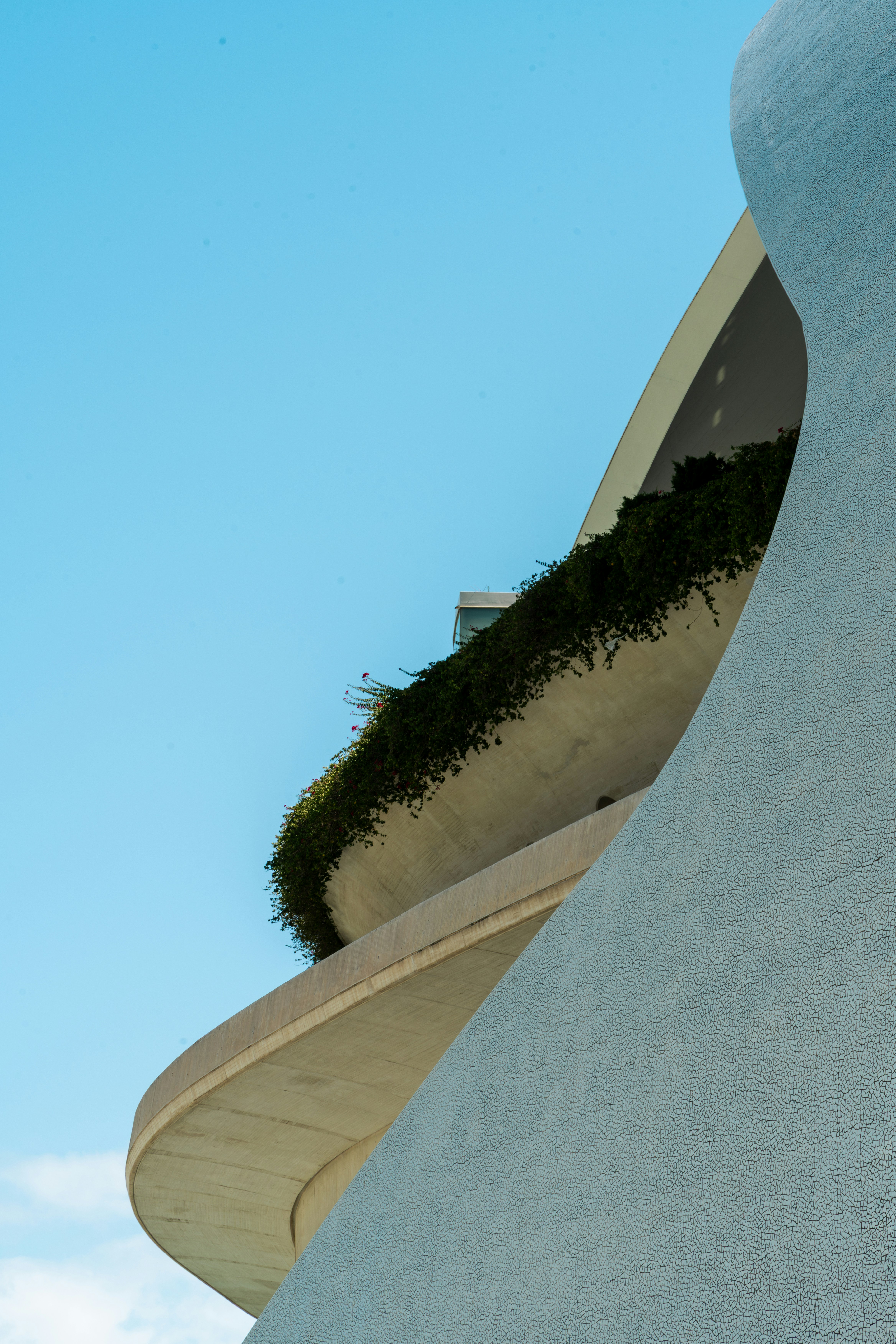 Curves and Greenery: A Modern Architectural Dialogue