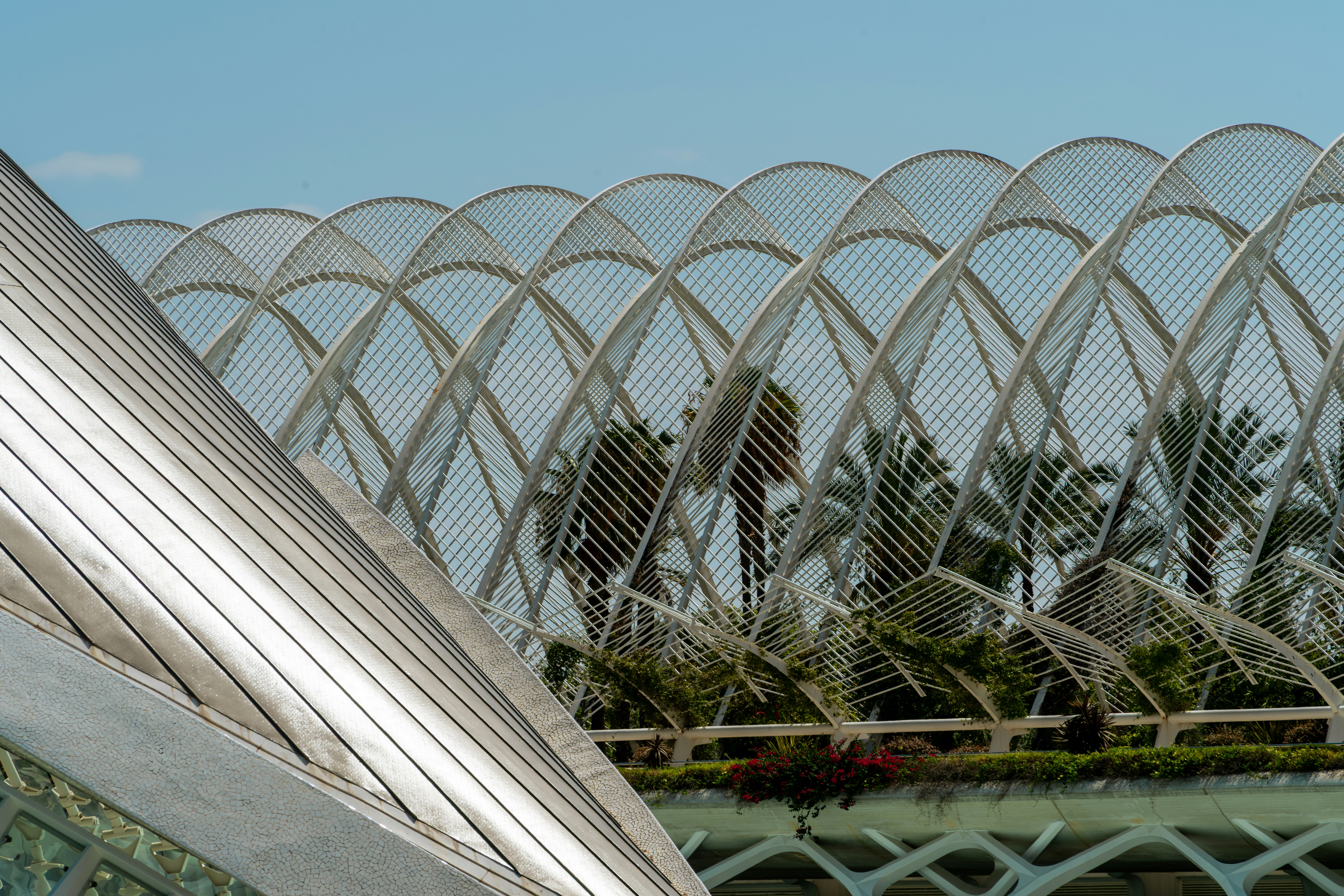 Architectural Harmony: Nature Meets Design