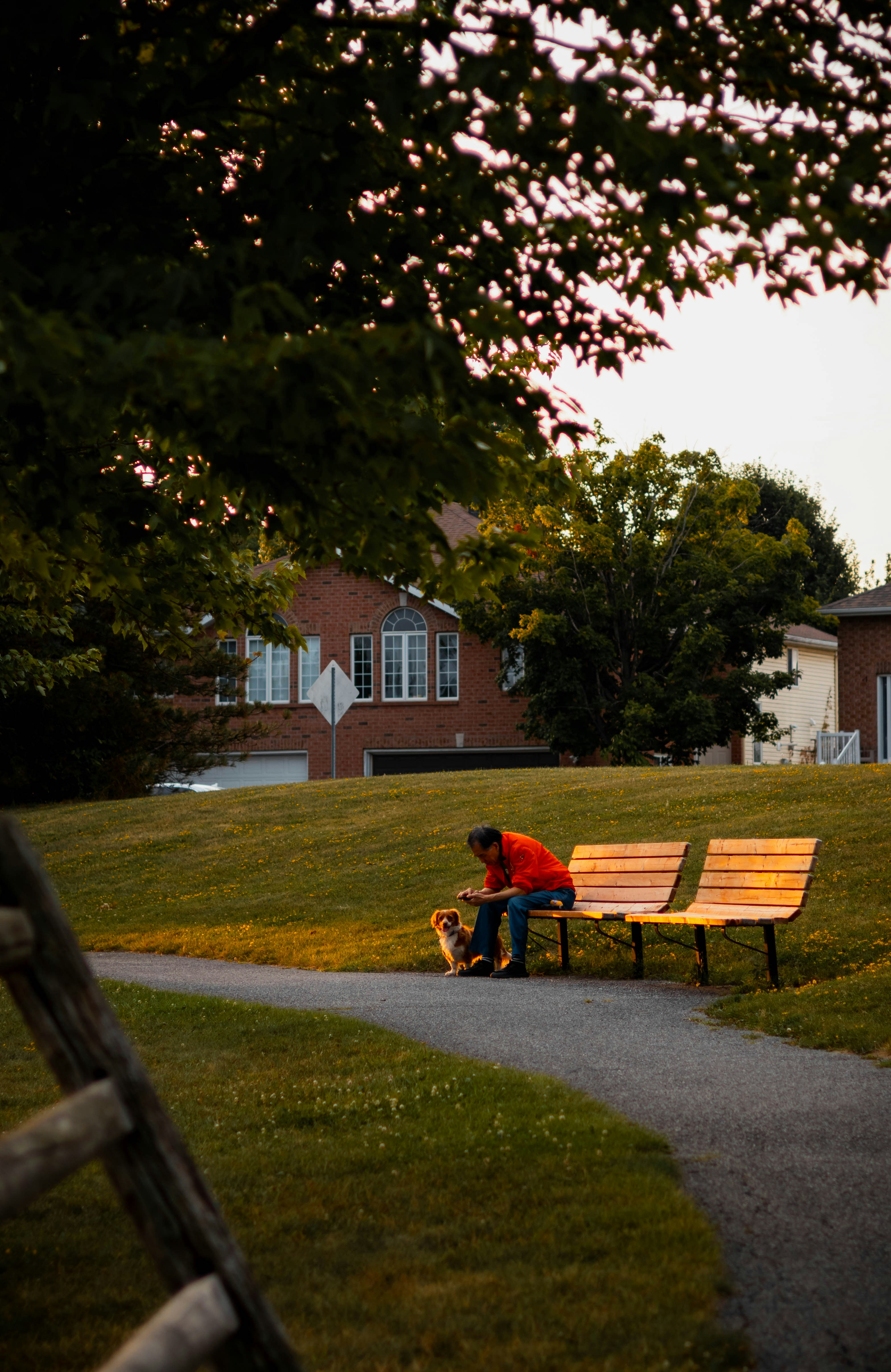 Golden hour in a quiet park with a man and his dog. | A man and dog relax on a park bench.