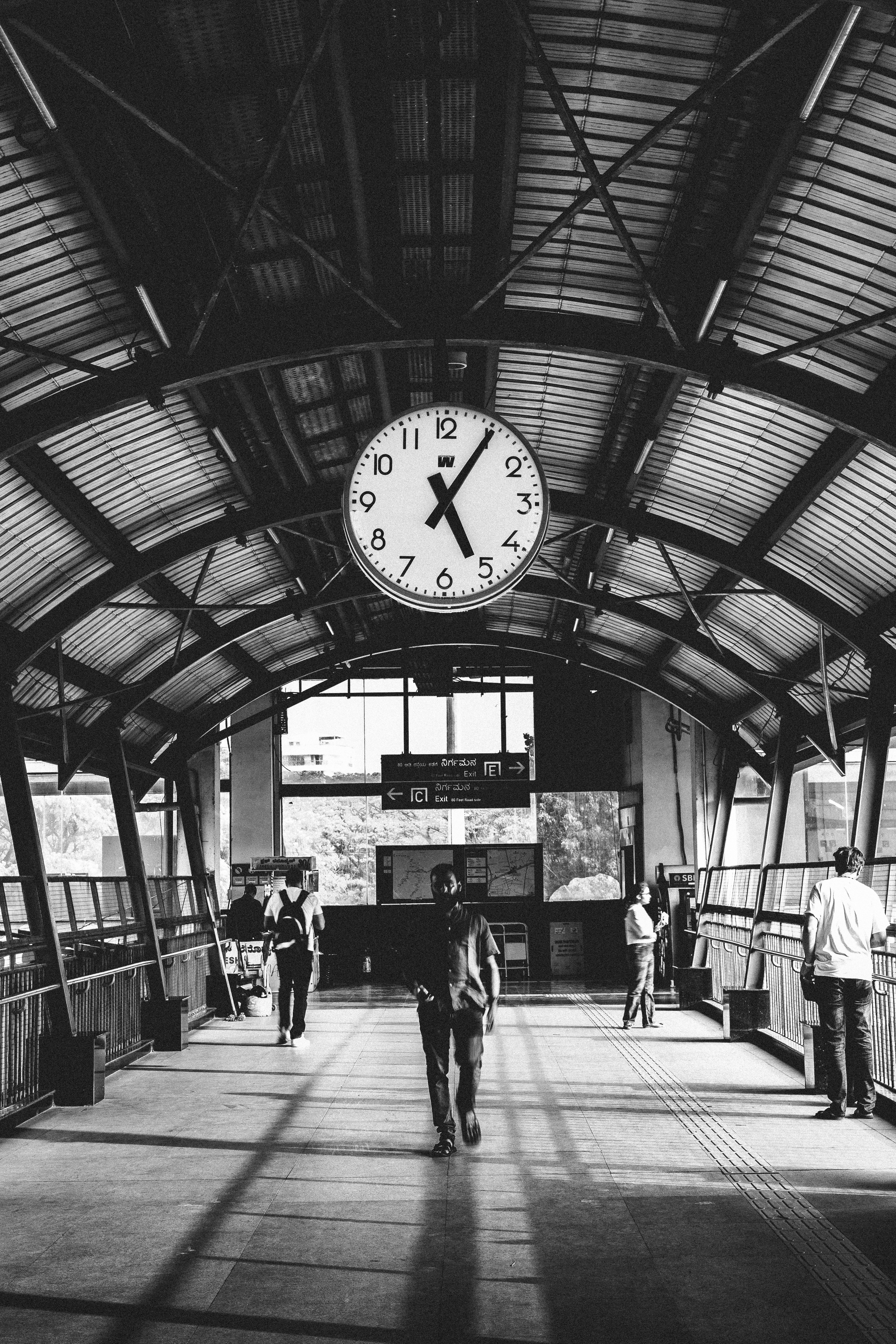 Timeless Journey Through the Urban Canopy