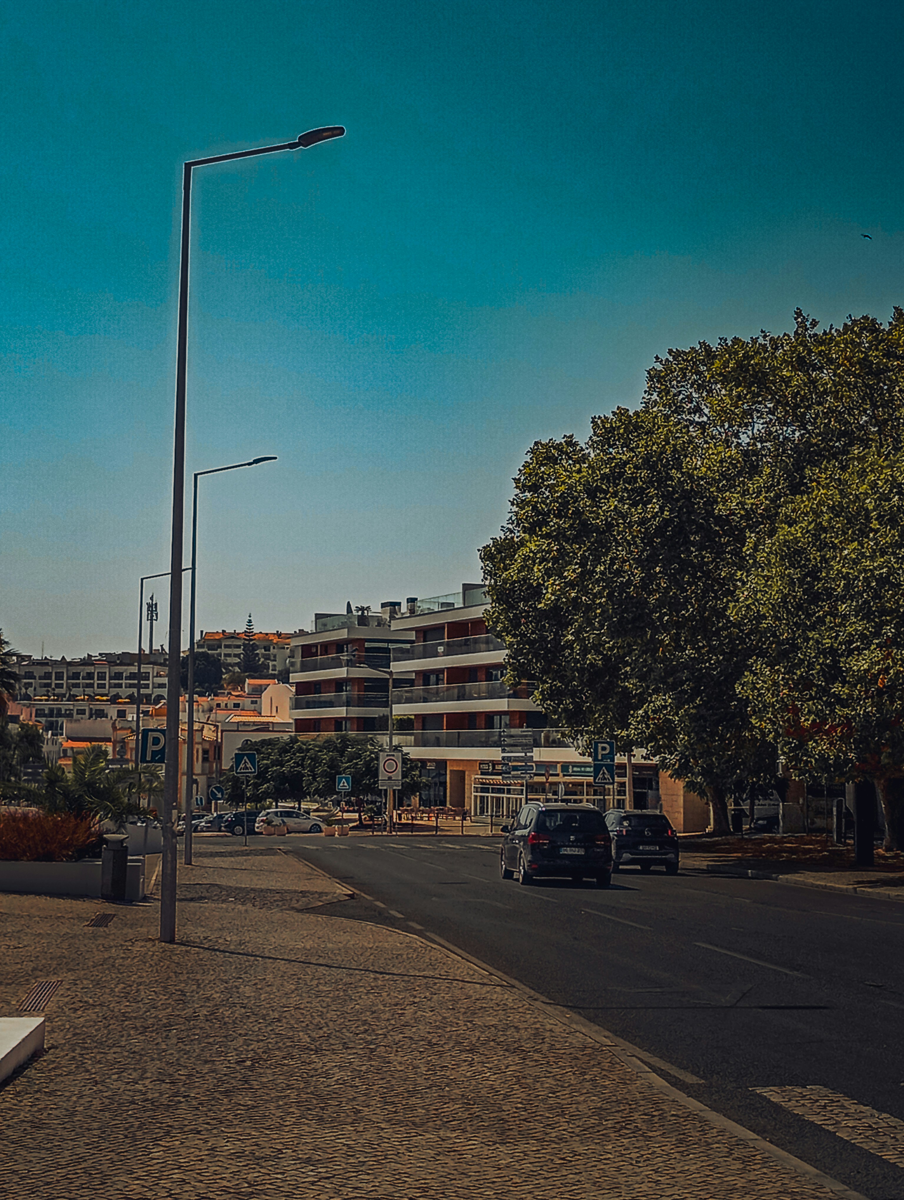 Street with trees, cars, and apartment buildings.