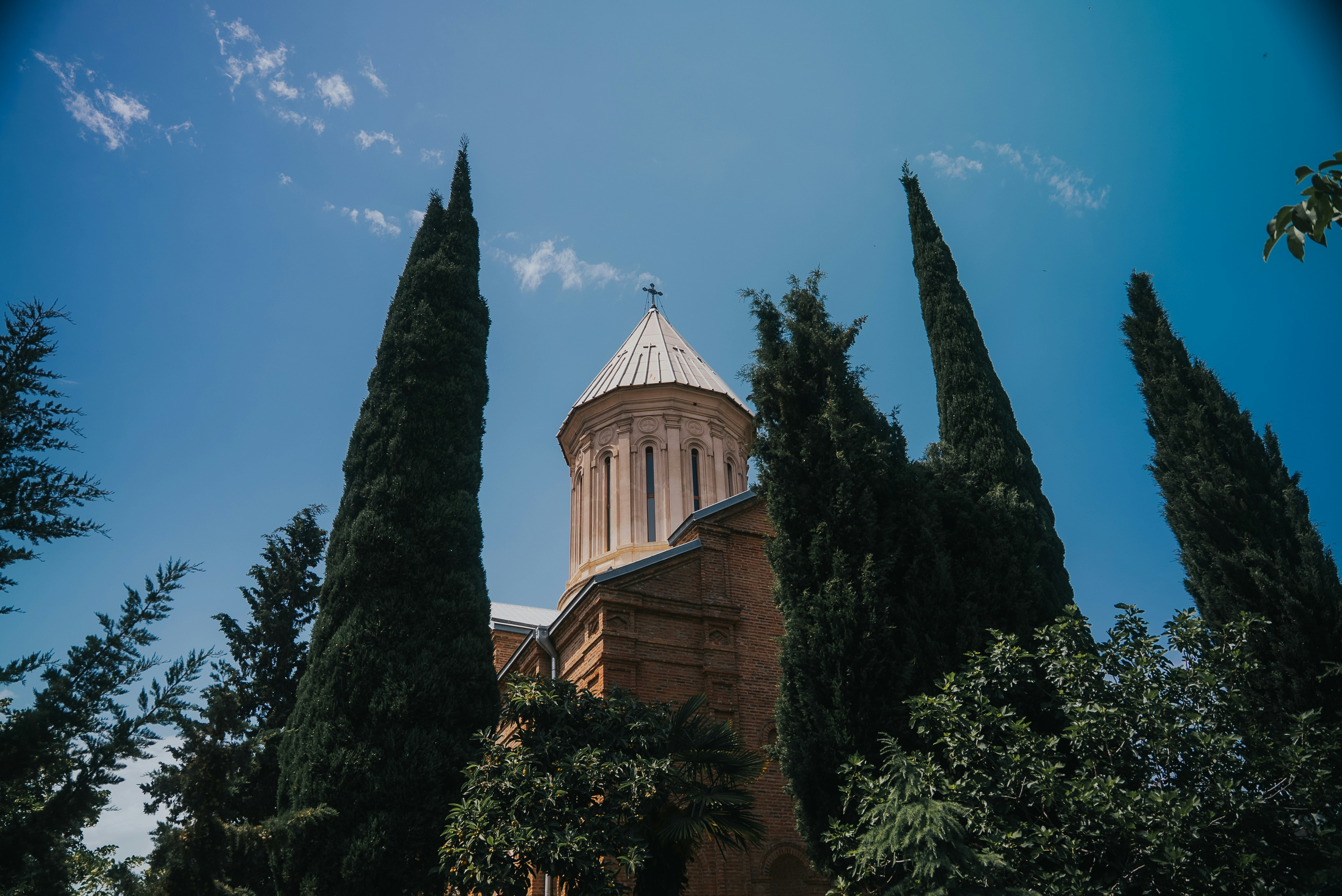 The Towering Sanctuary Amidst Nature's Embrace