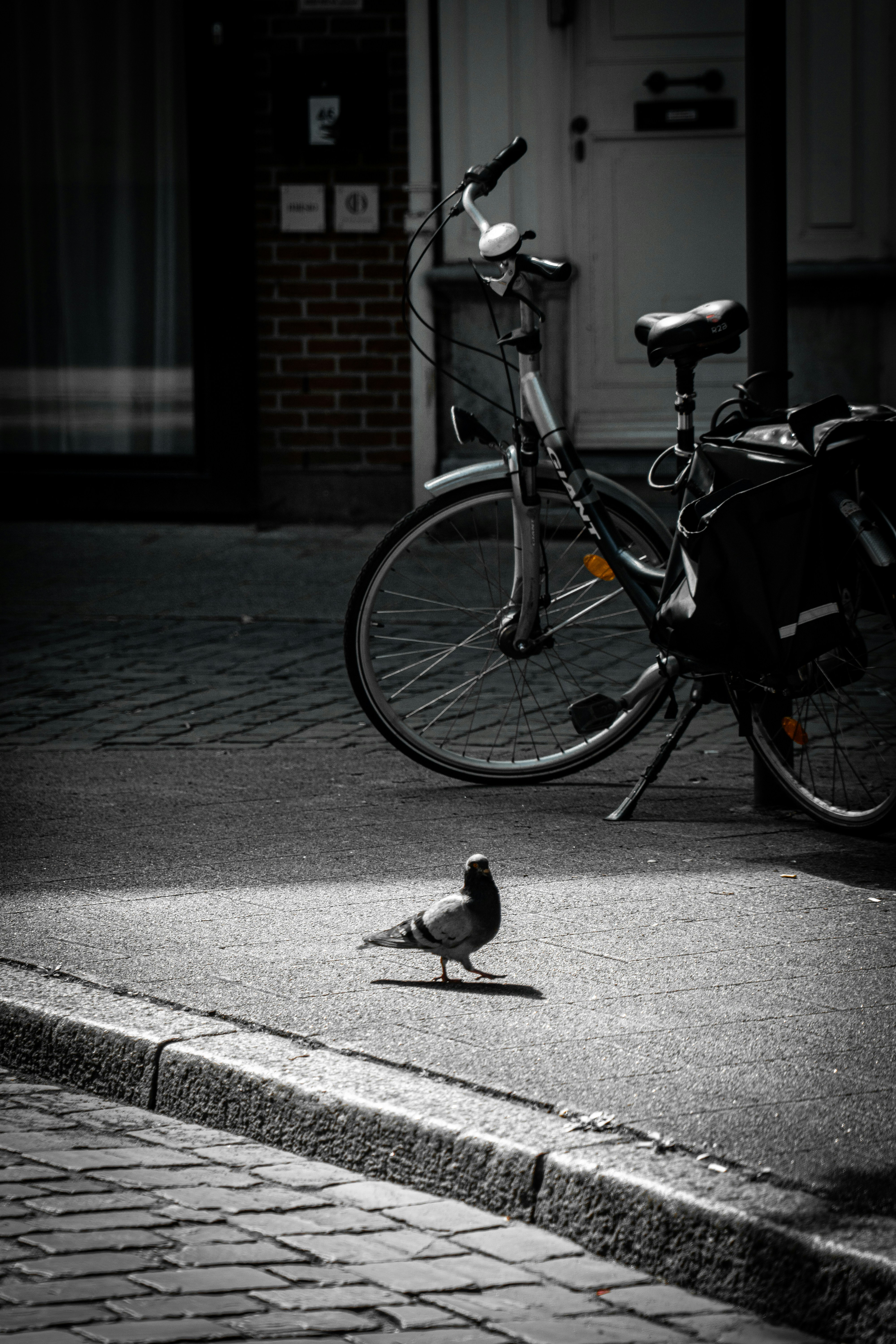 Urban Stillness: A Moment in Motion