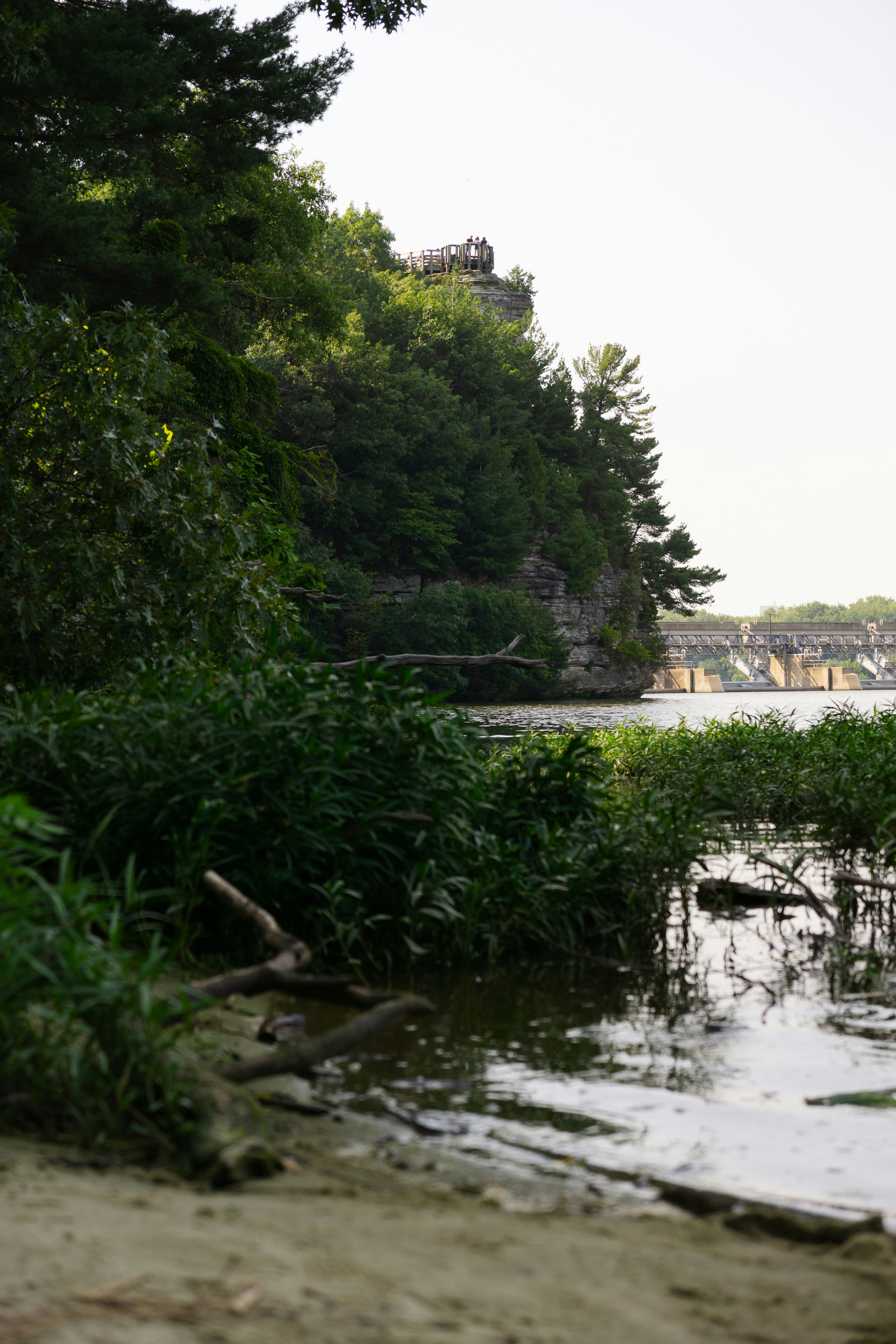 A lush forest overlooks a calm river.
