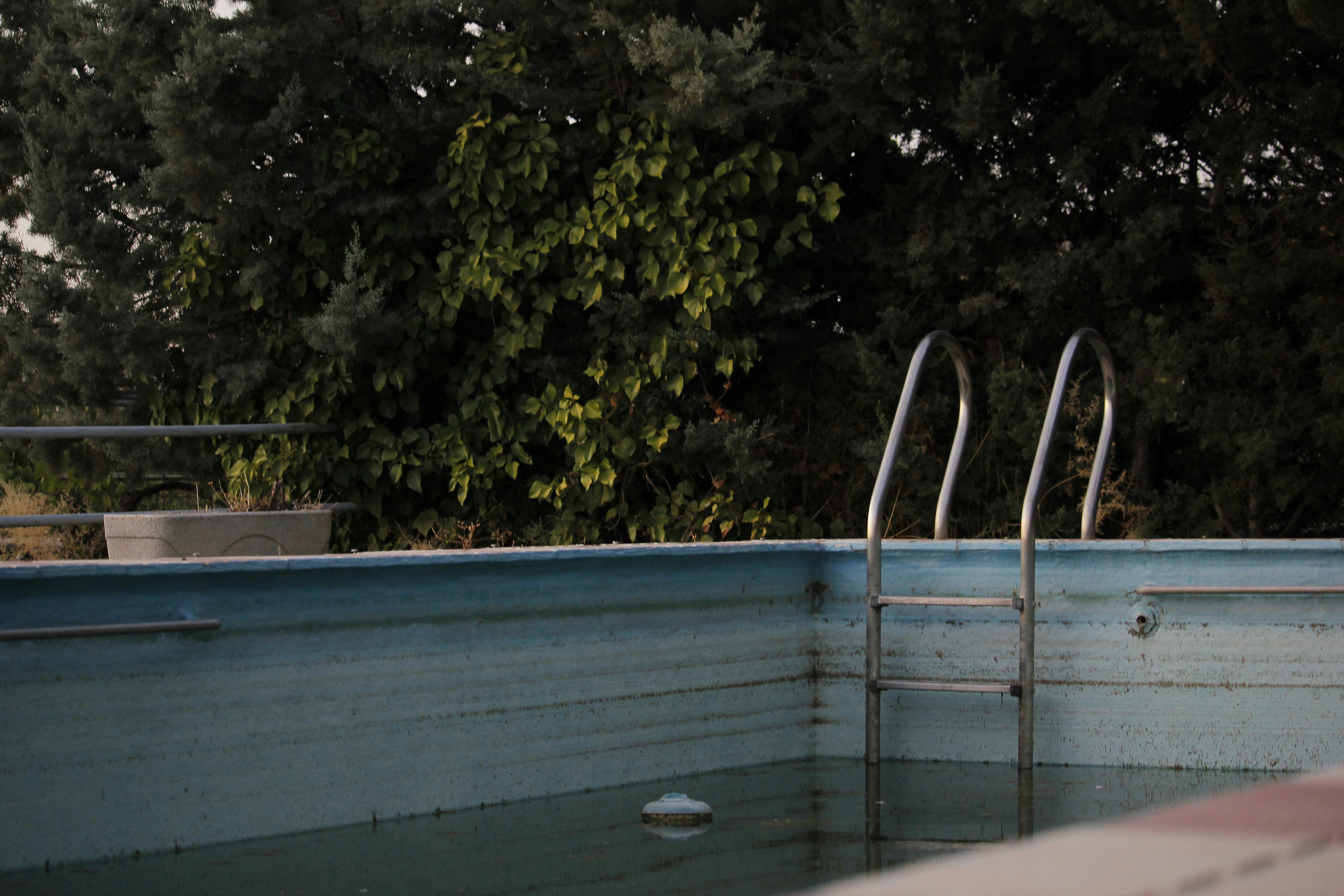 An empty pool stands still near trees.