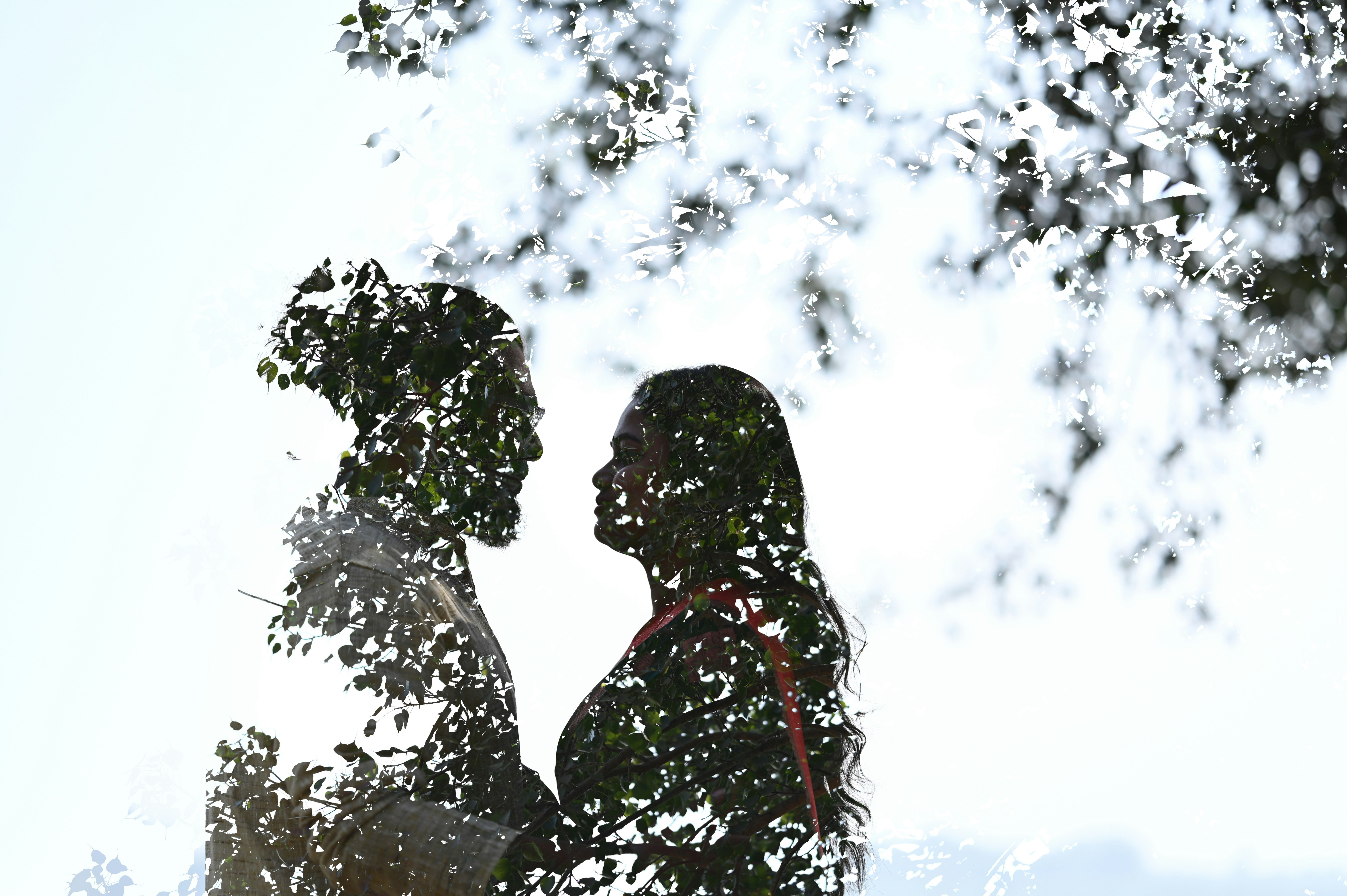 couple. | Couple's silhouettes: romance amidst the leaves.