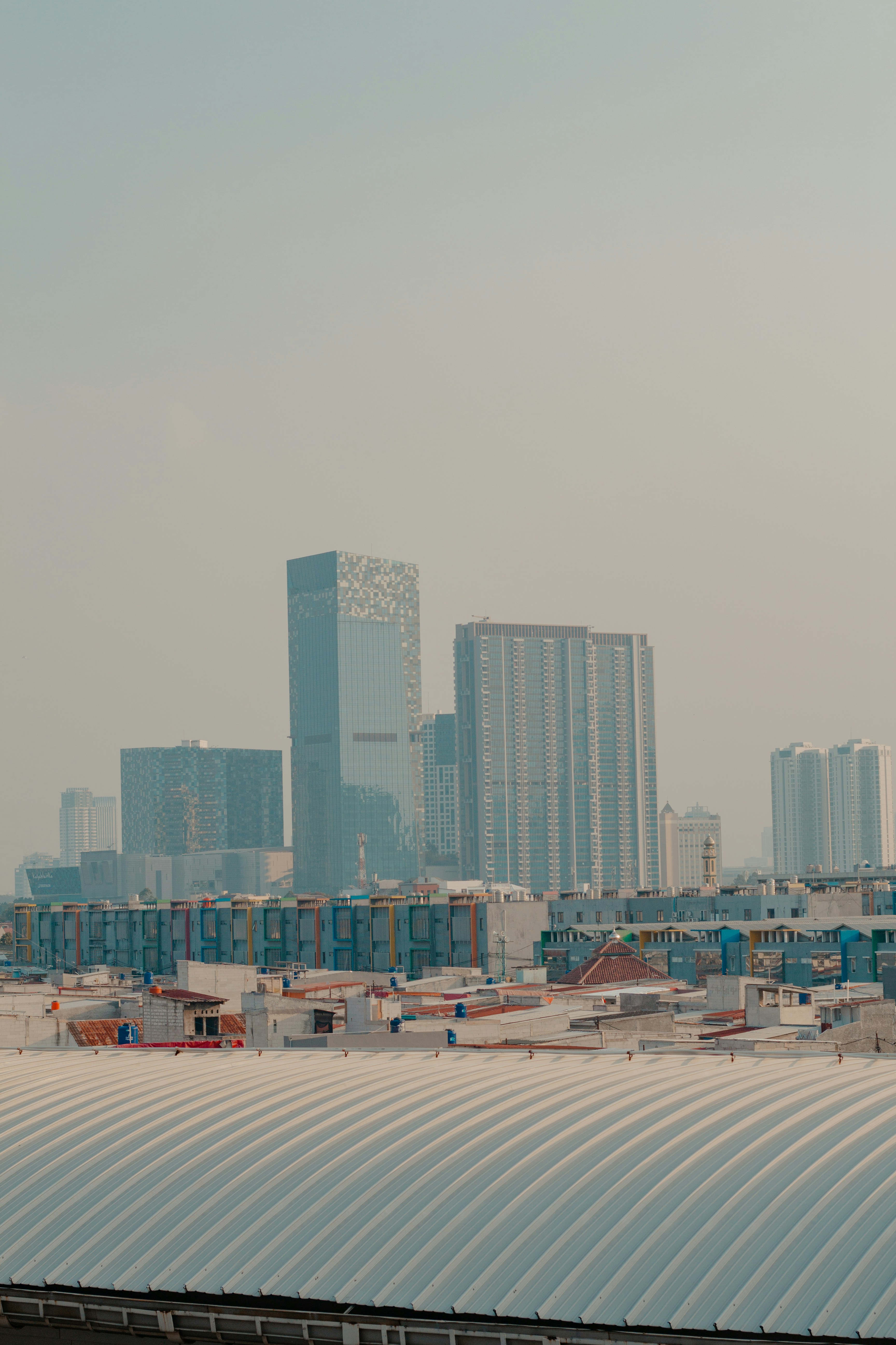 Urban Harmony: The Skyline's Embrace