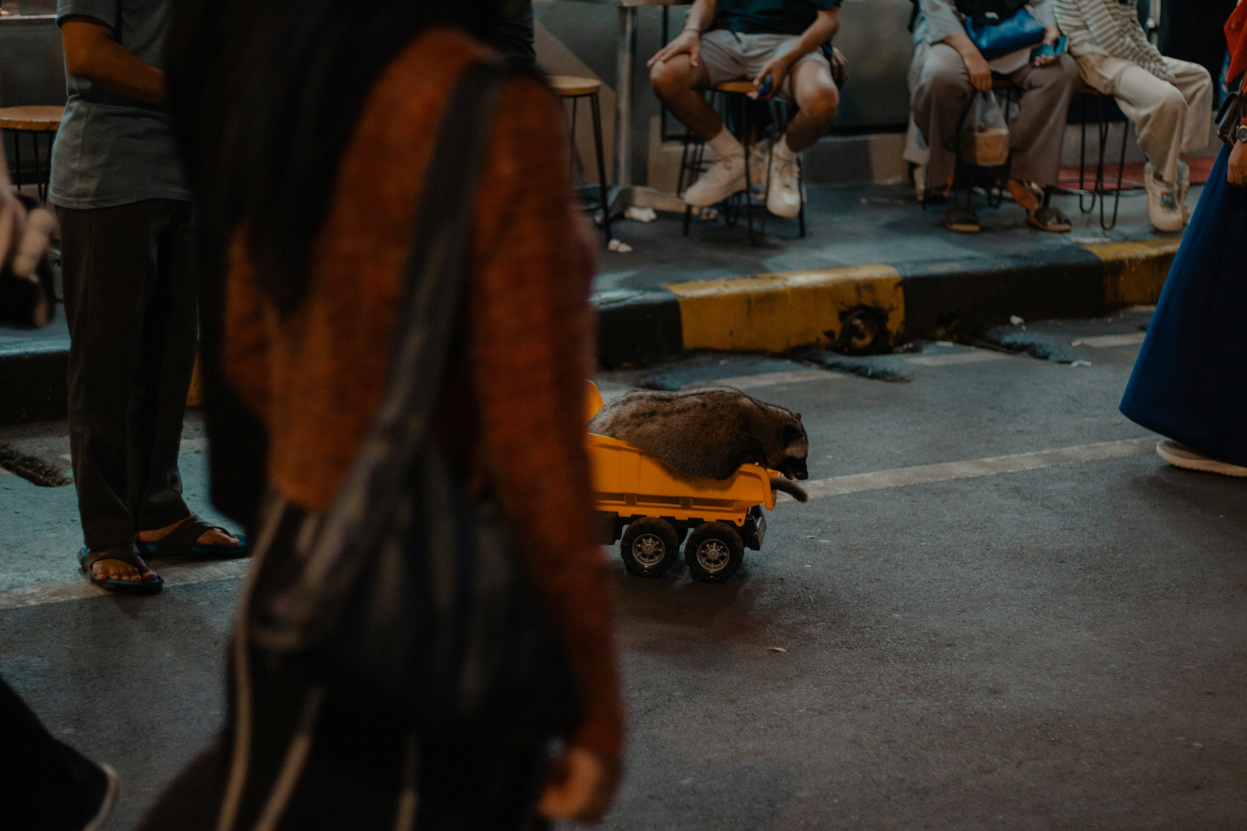 A small creature rides in a toy truck.