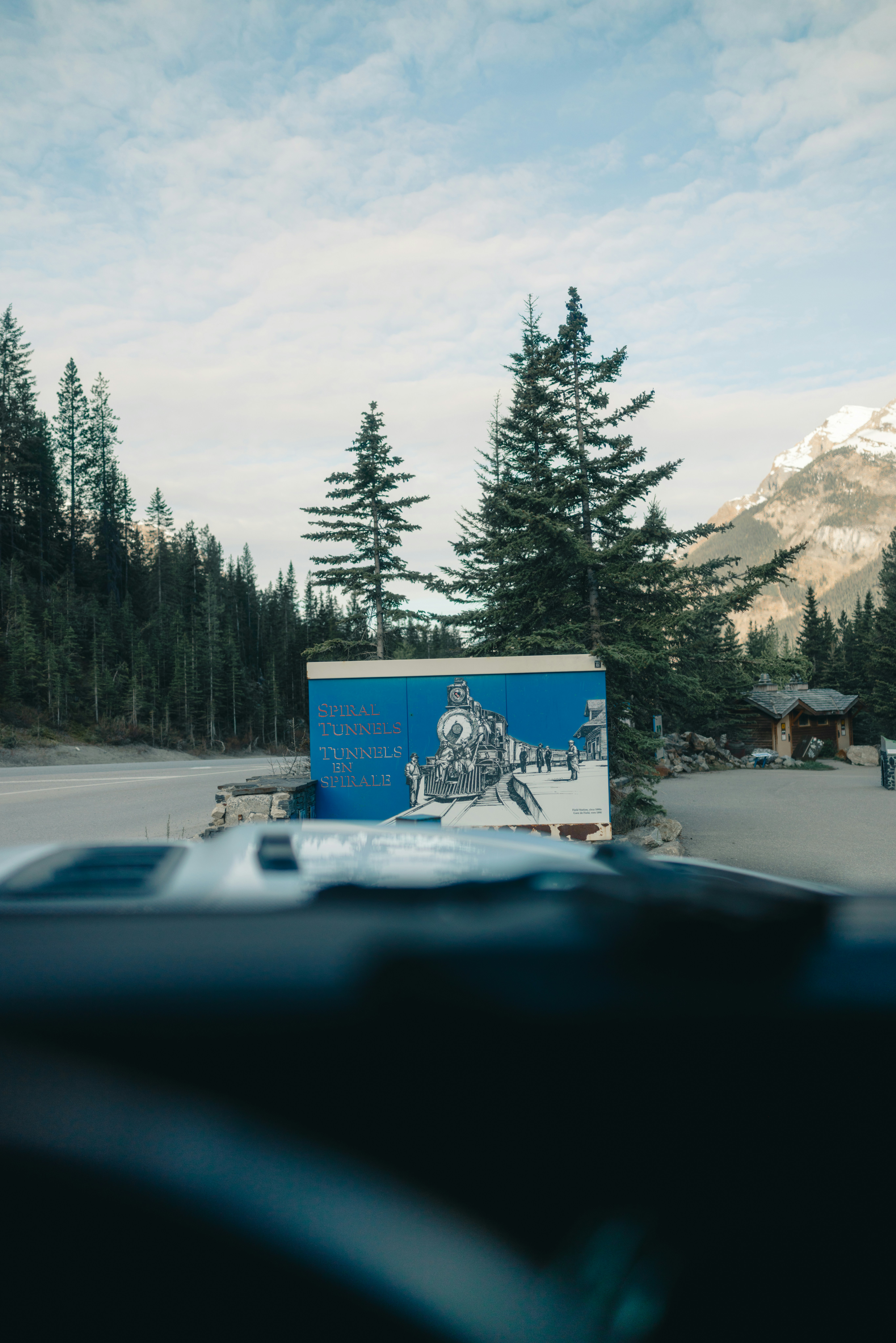 Blue Billboard on a Mountain Roadway Framed by Pine Forest