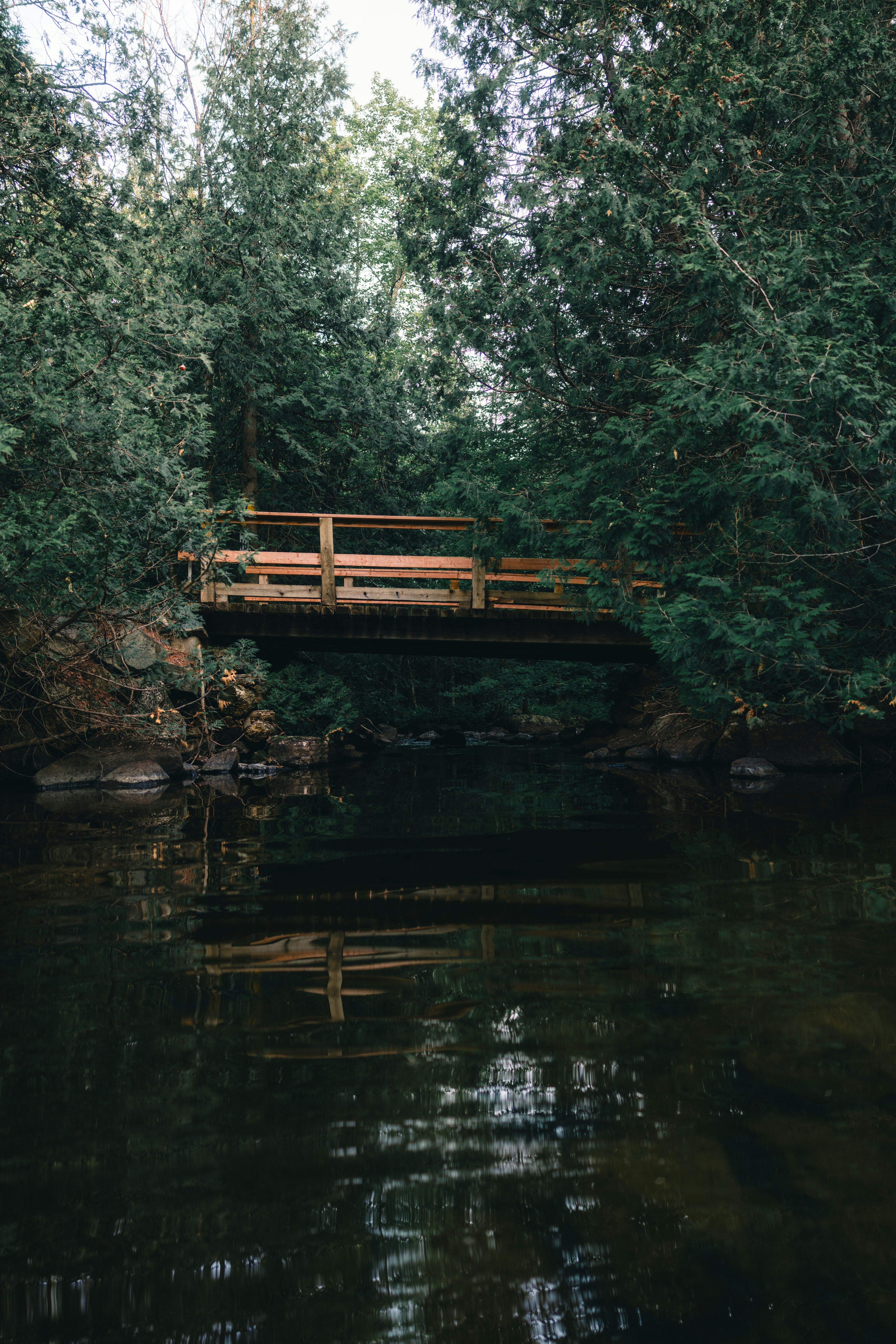 Cottage days in Ottawa | A wooden bridge spans over a dark, calm river.