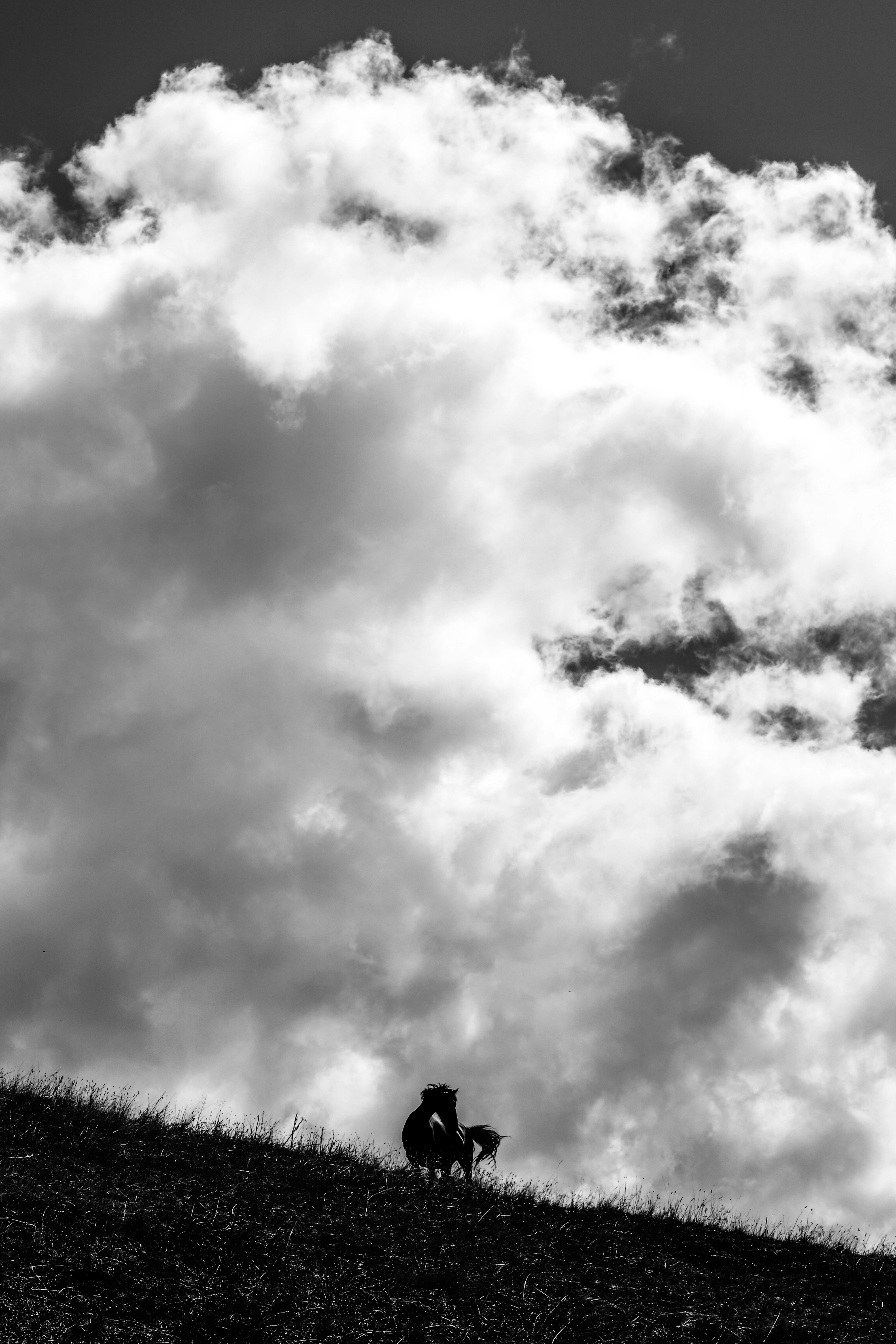 Black horse | A silhouette of figures is set against dramatic clouds.