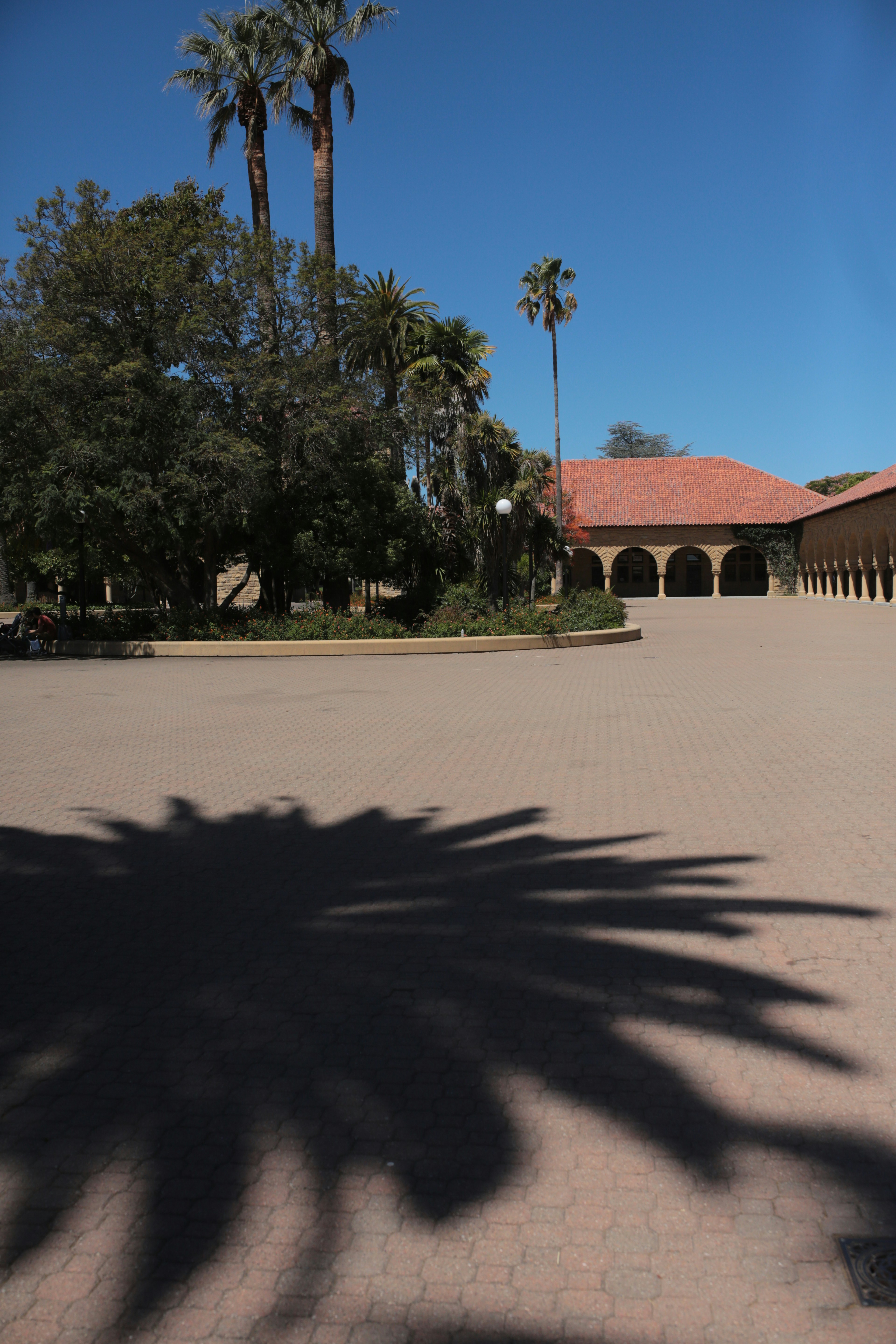 A serene courtyard scene featuring palm trees casting elongated shadows over a paved surface, with a historic building in the background. The clear blue sky enhances the tranquil atmosphere.