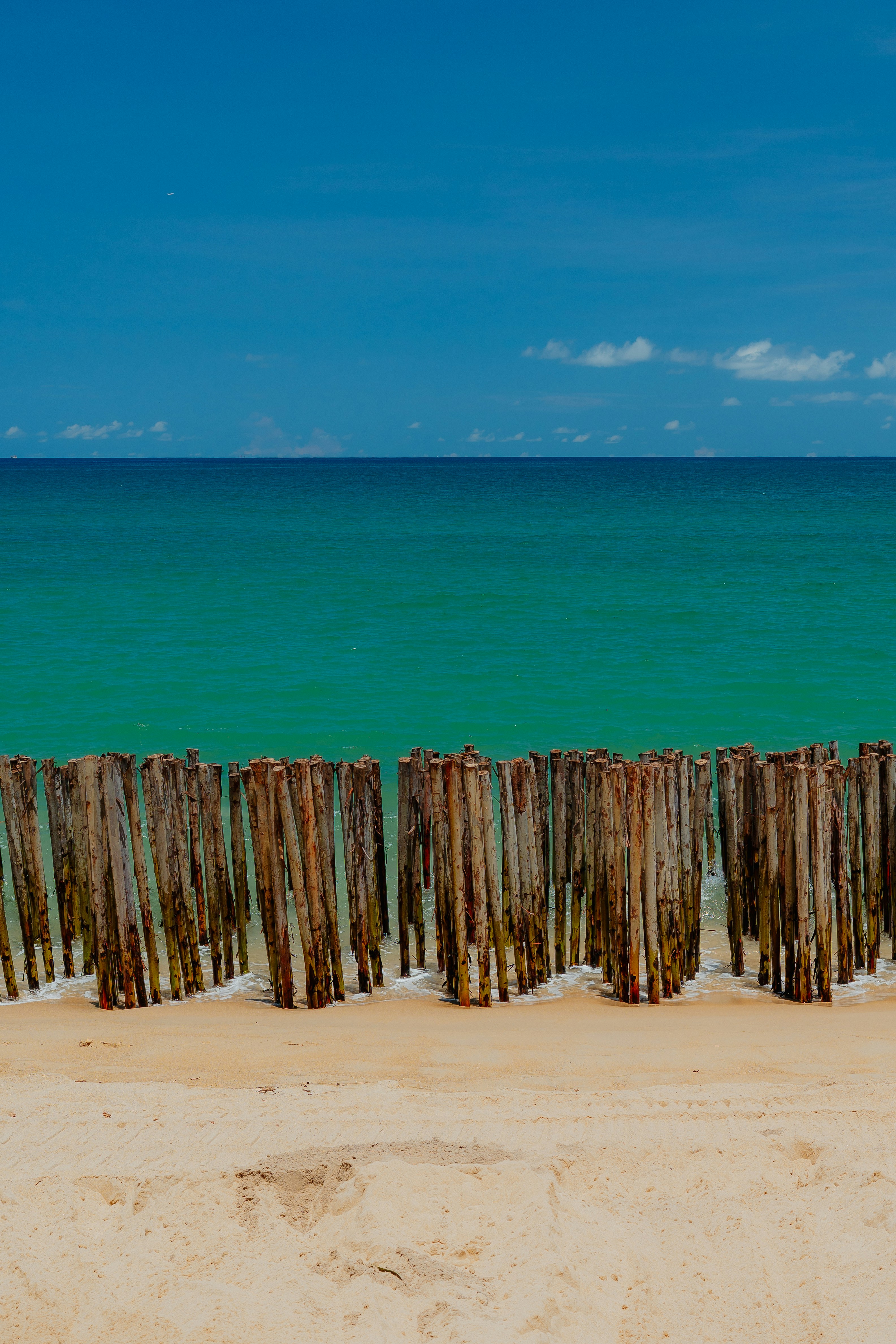 Minimalist surf study captured in razor-sharp detail: lace-fine foam traces a clean curve across warm, velvety sand as the water shifts from translucent aqua to deep sapphire on the horizon, offering a serene palette ideal for keywords such as “ocean texture,” “zen seascape,” and “calming beach background.”