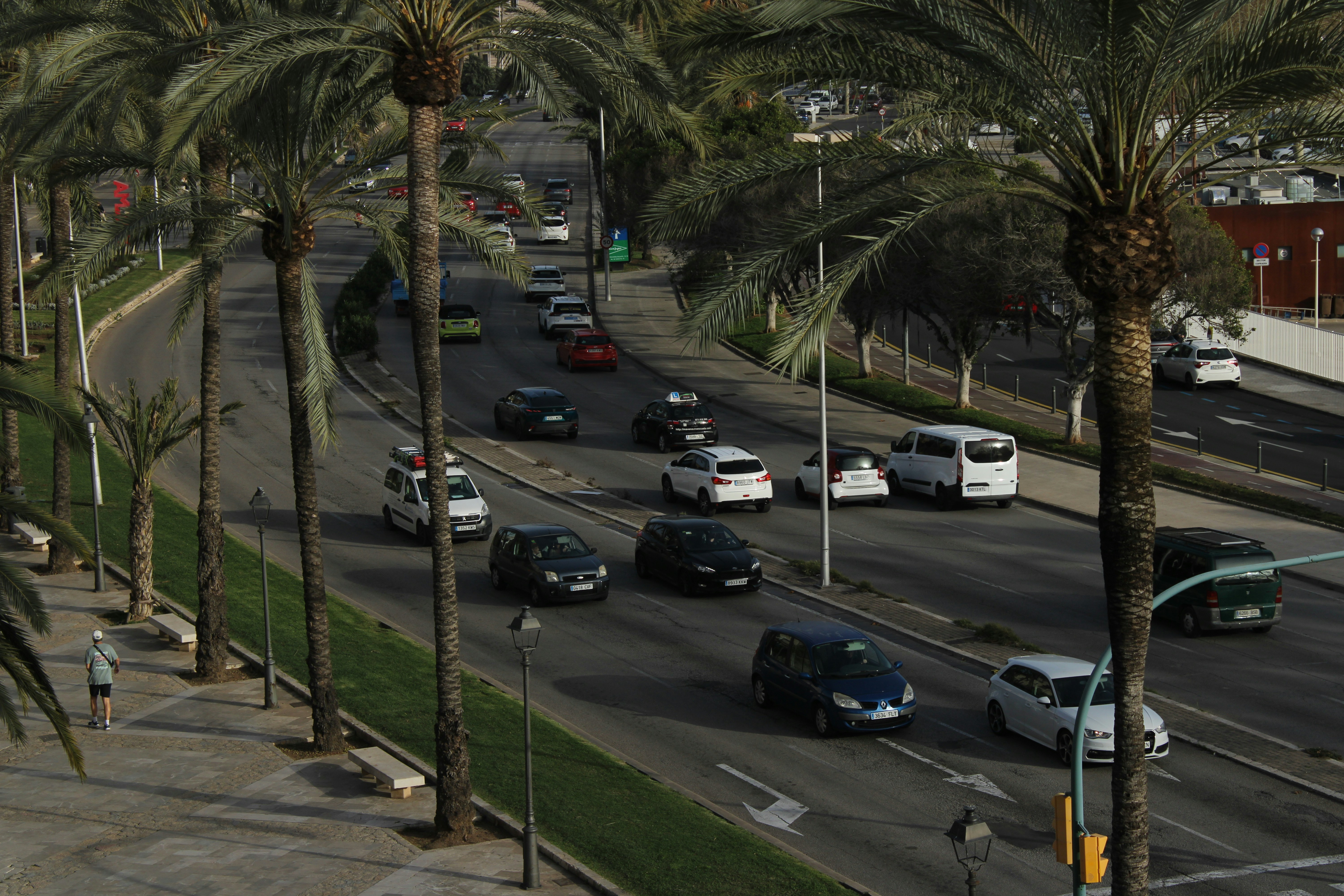 Urban Flow: A Dance of Vehicles and Palms