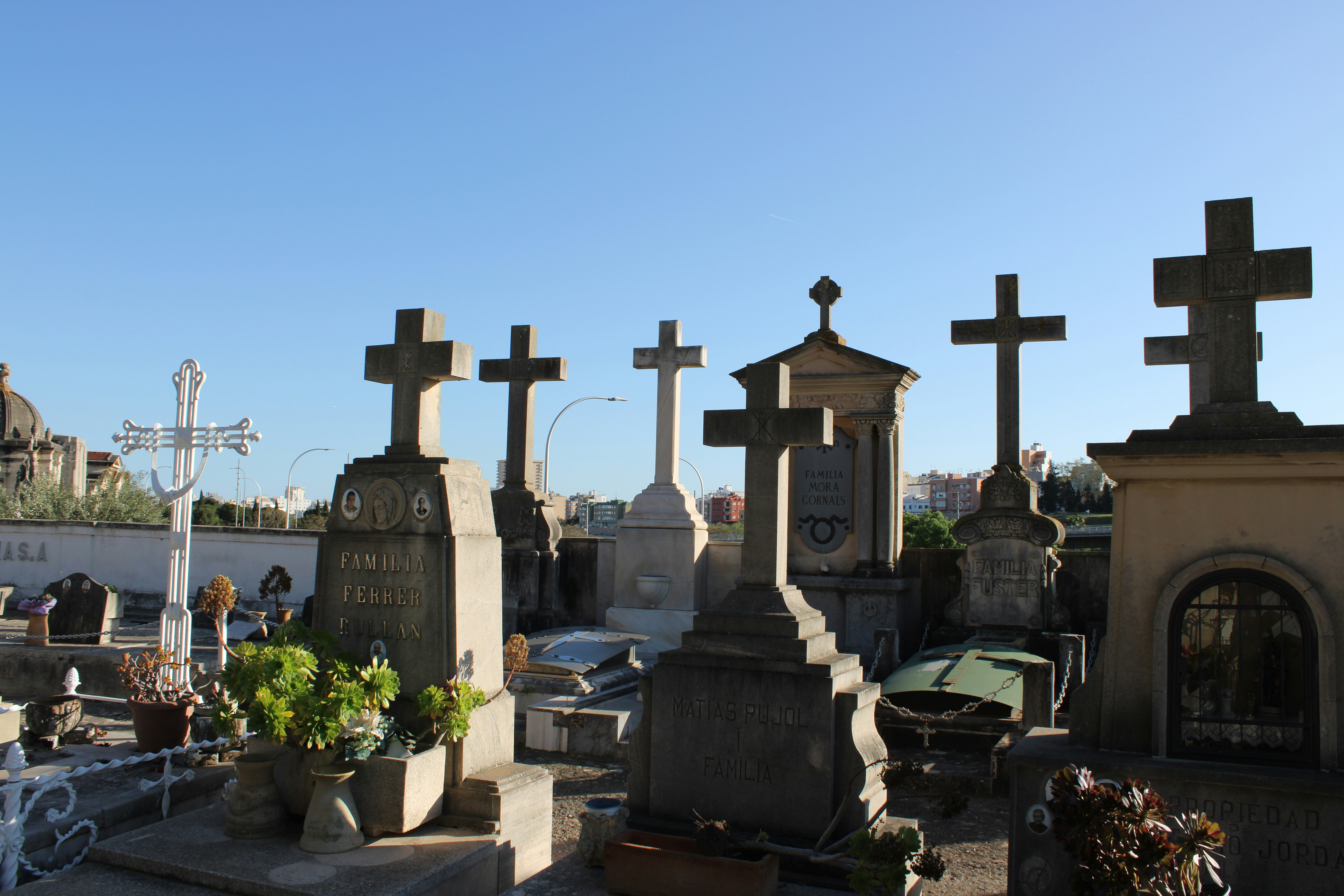 Sunlit Row of Weathered Crosses in a Timeworn Cemetery