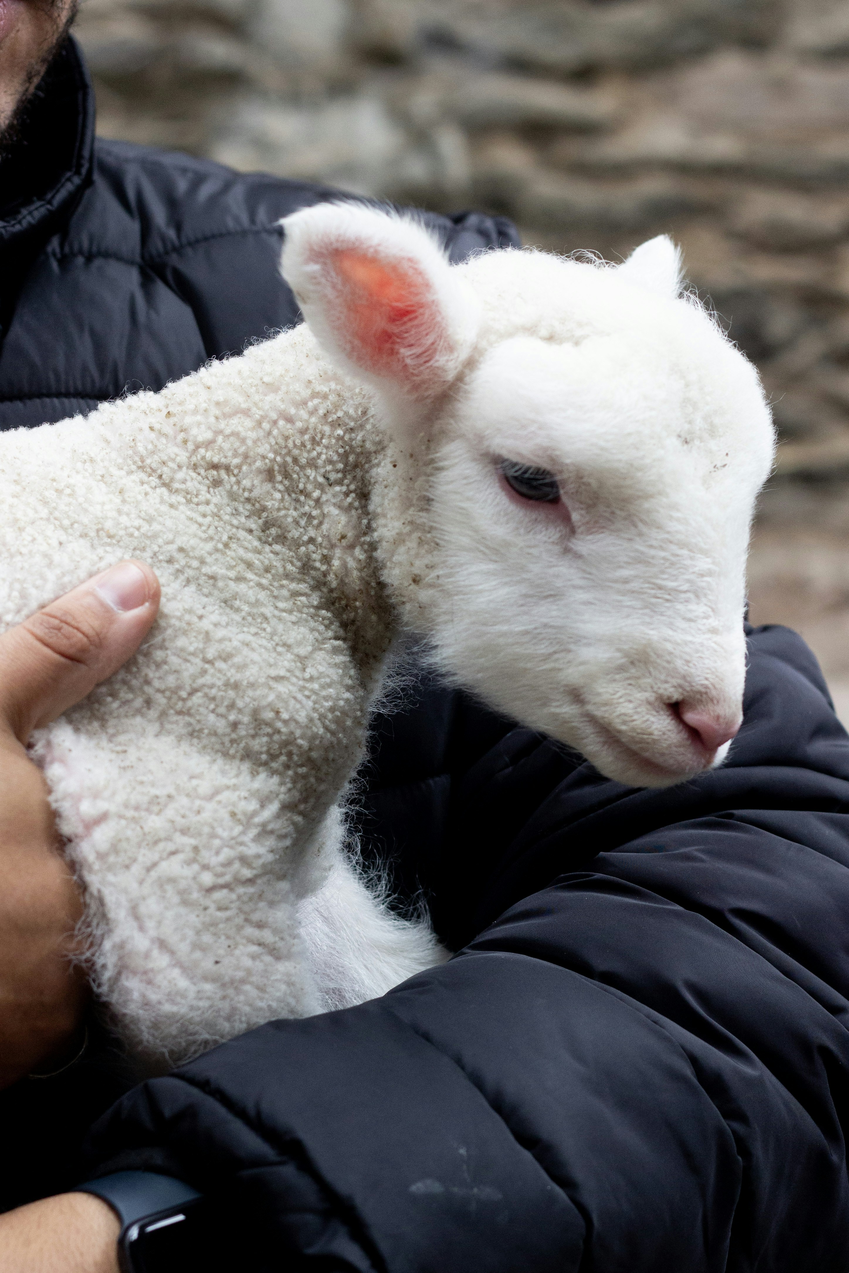 Gentle Embrace of Innocence