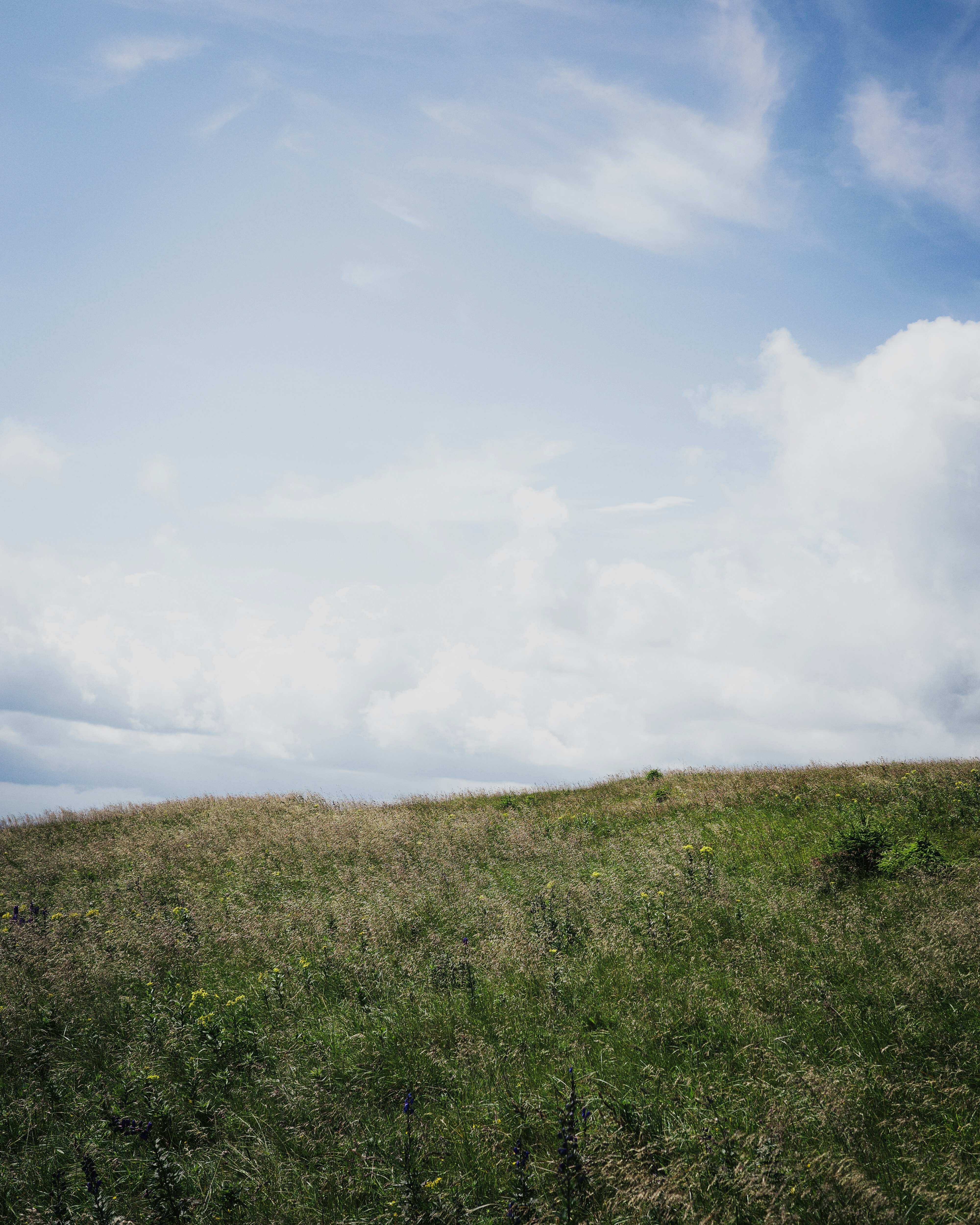 A grassy hill slopes under a cloudy blue sky.
