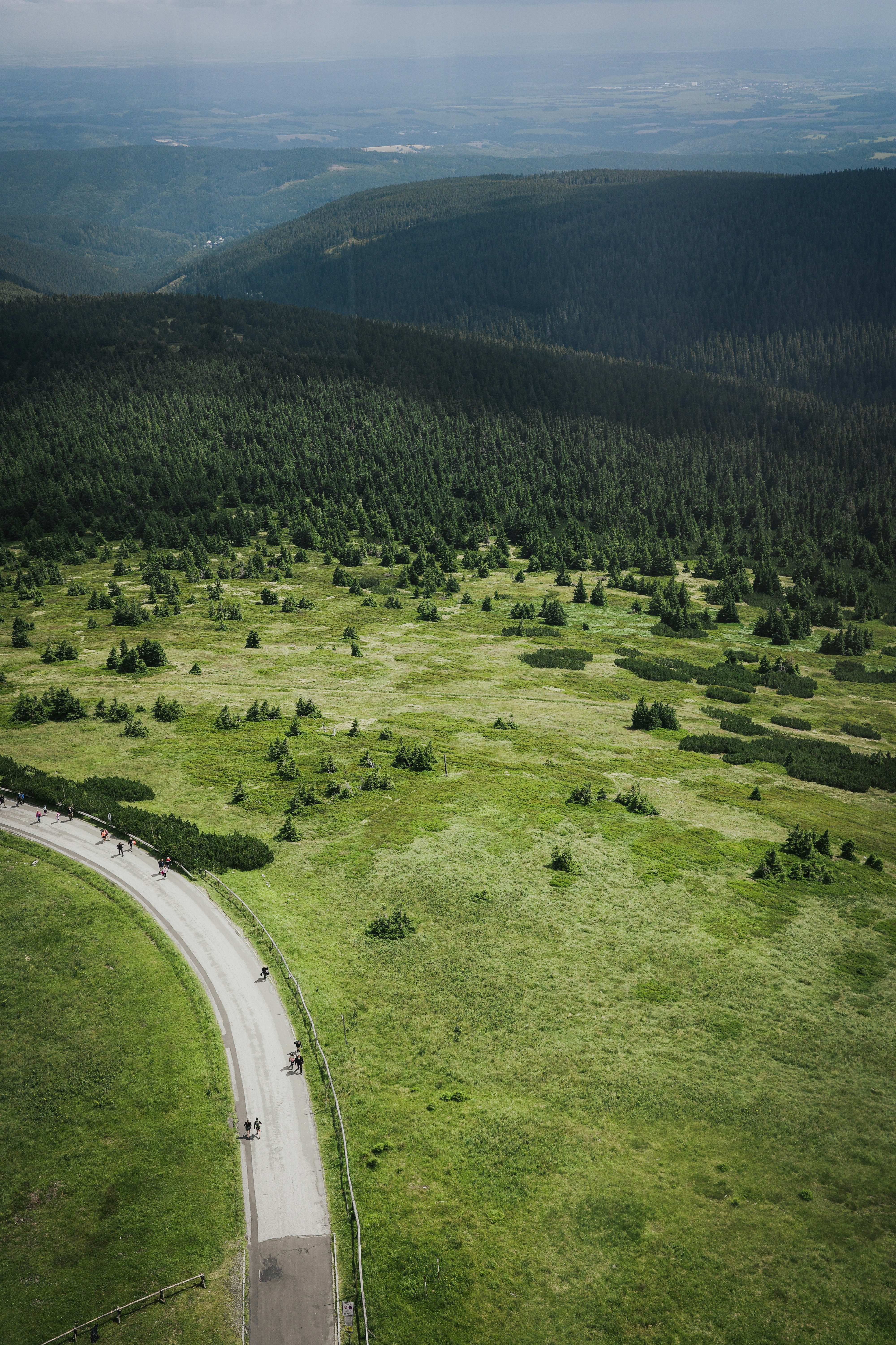 Winding Path Through Verdant WildernessKryštof Zajíček