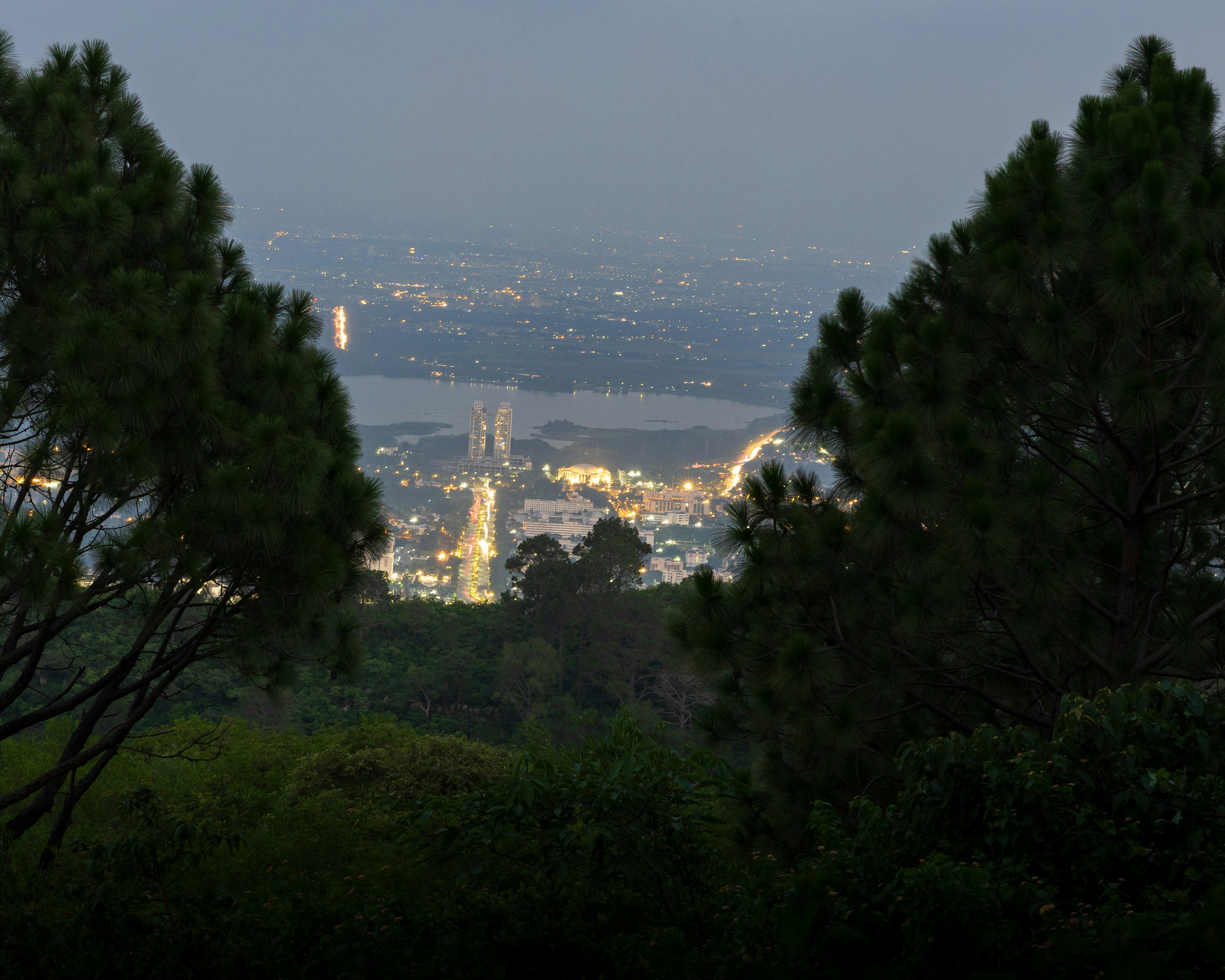 Nighttime cityscape viewed through trees.