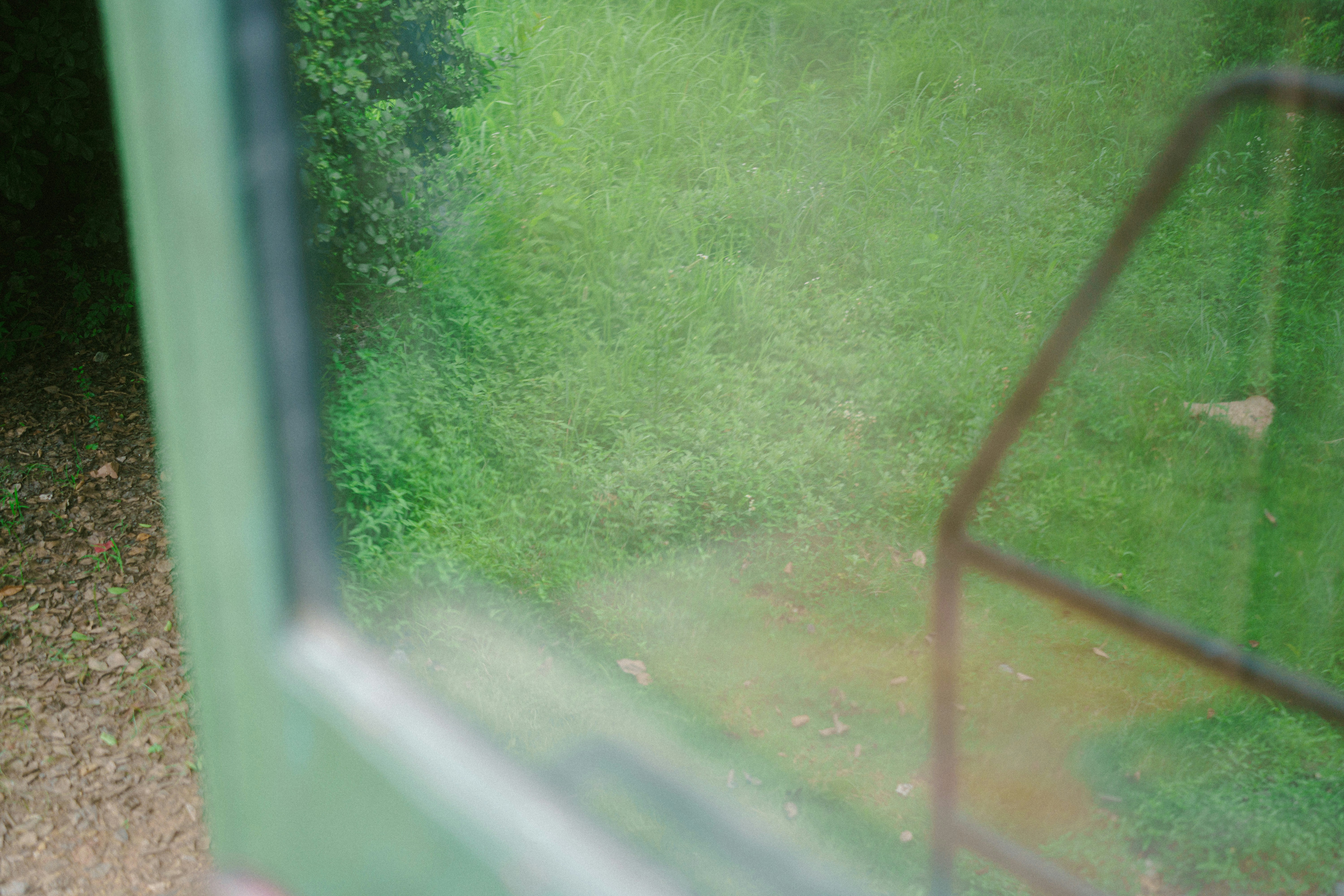 Nature's Embrace Through a Glass Frame