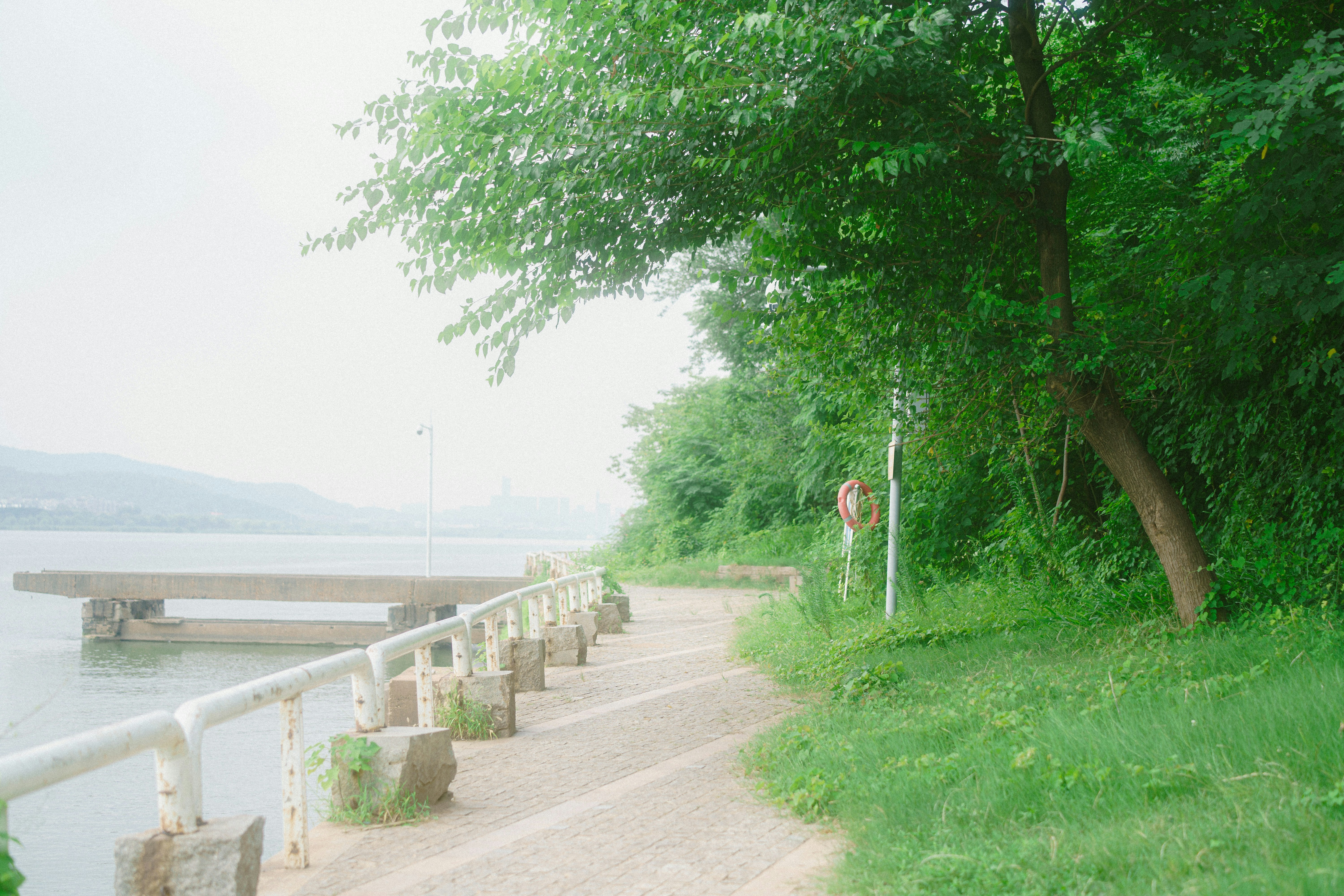 Whispers of Serenity by the Water's Edge