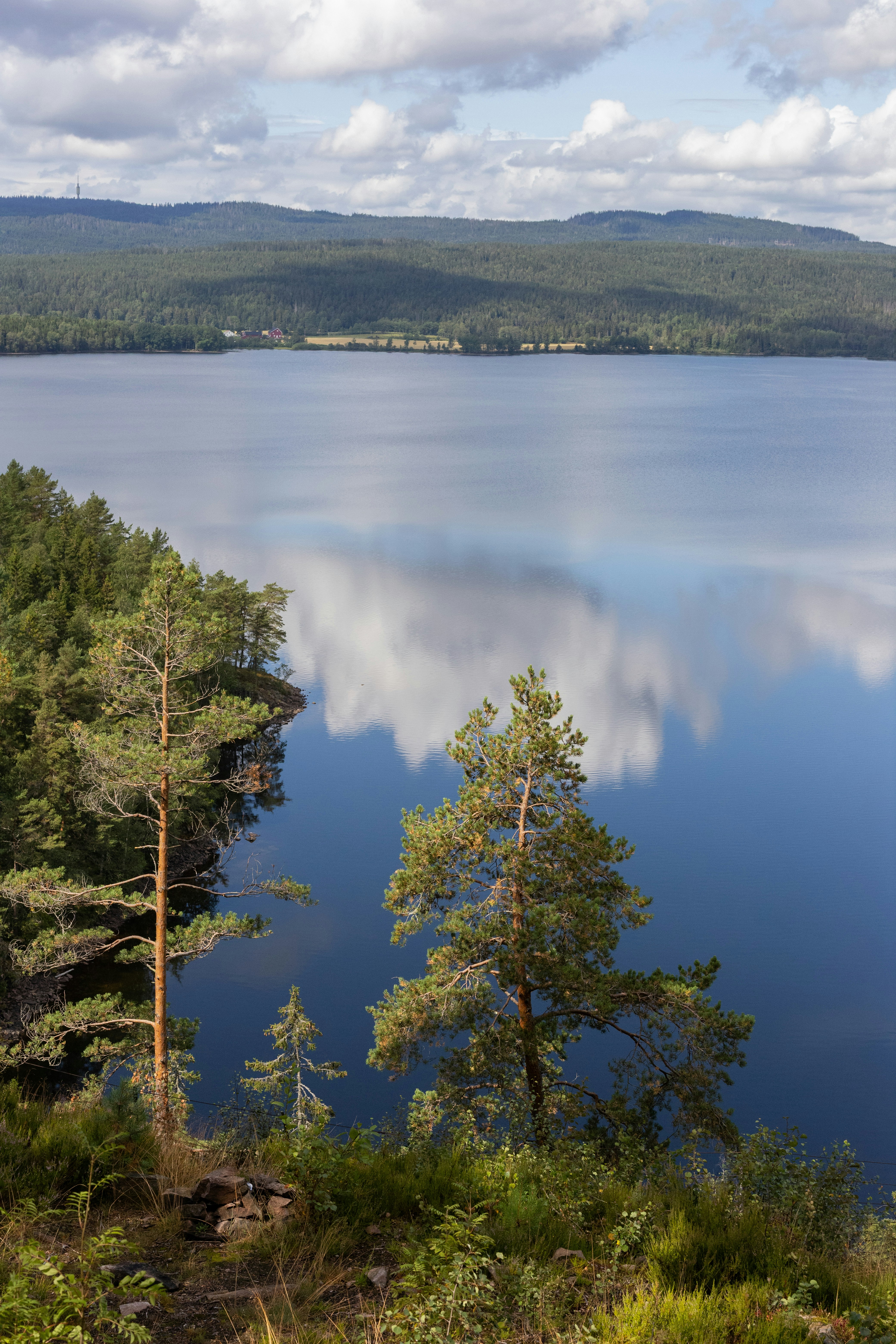 Norway lake | Lake reflects clouds over a forest.