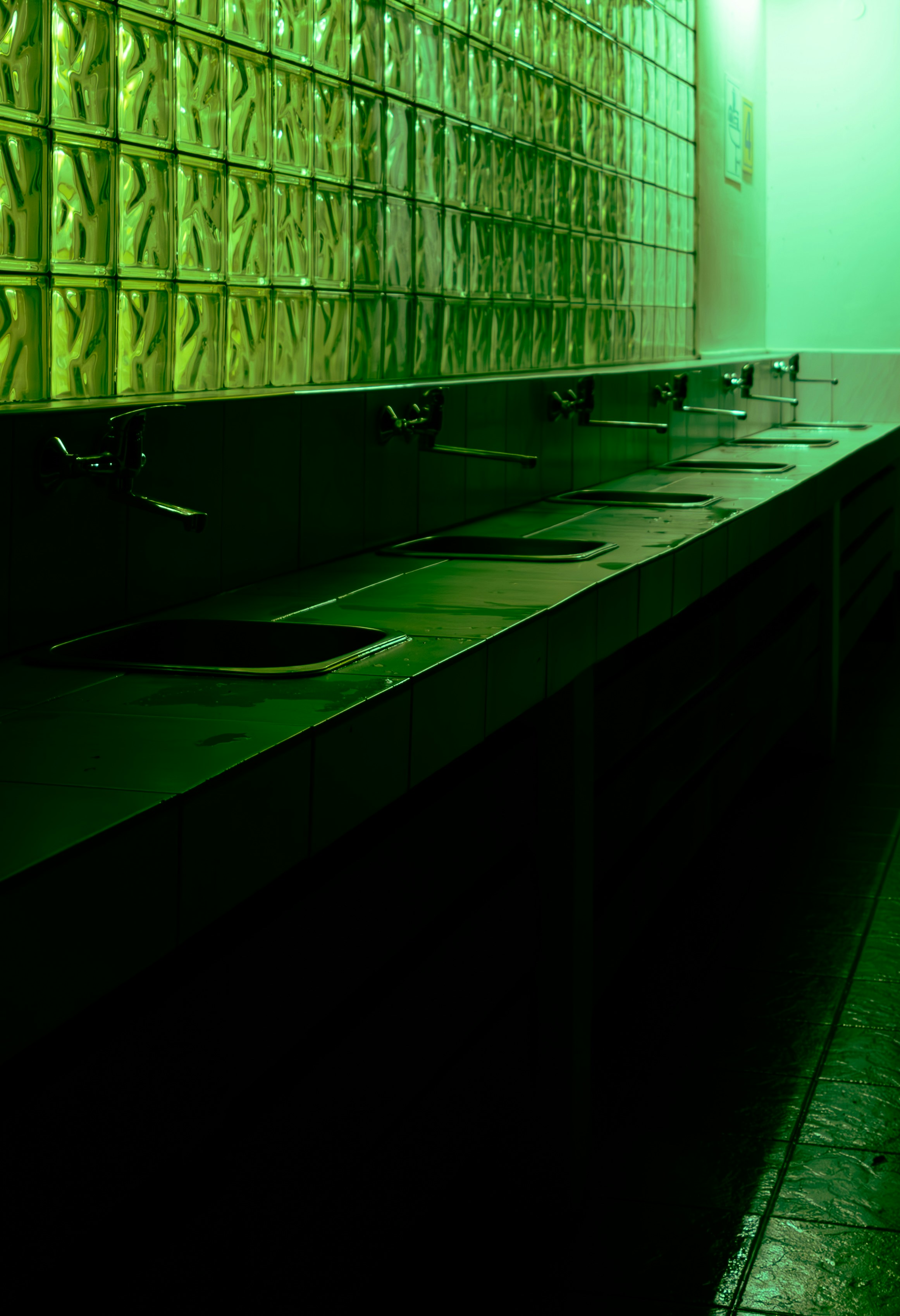 Emerald Reflections: An Unconventional Washroom Experience