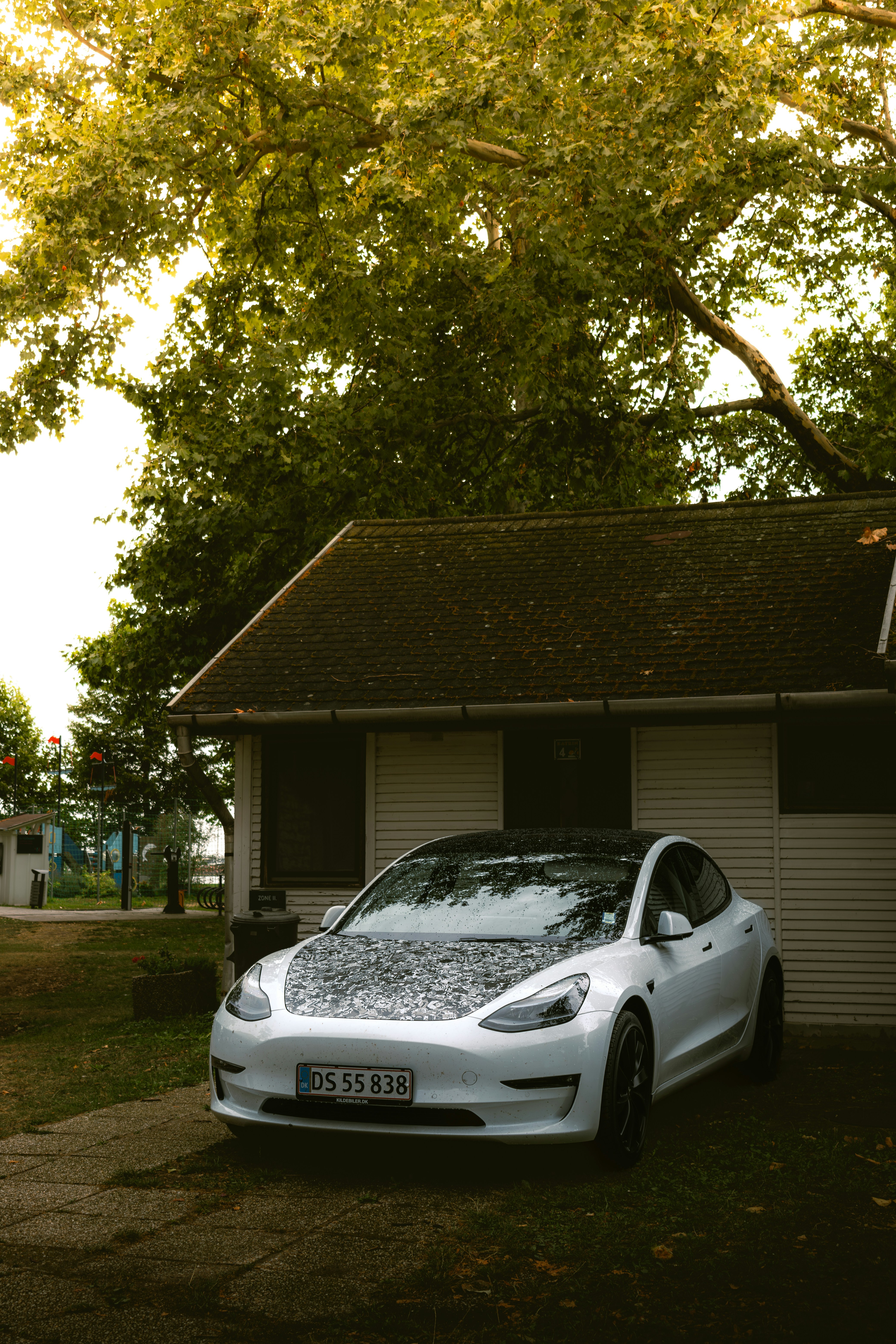 A Modern Marvel Amidst Nature's Embrace