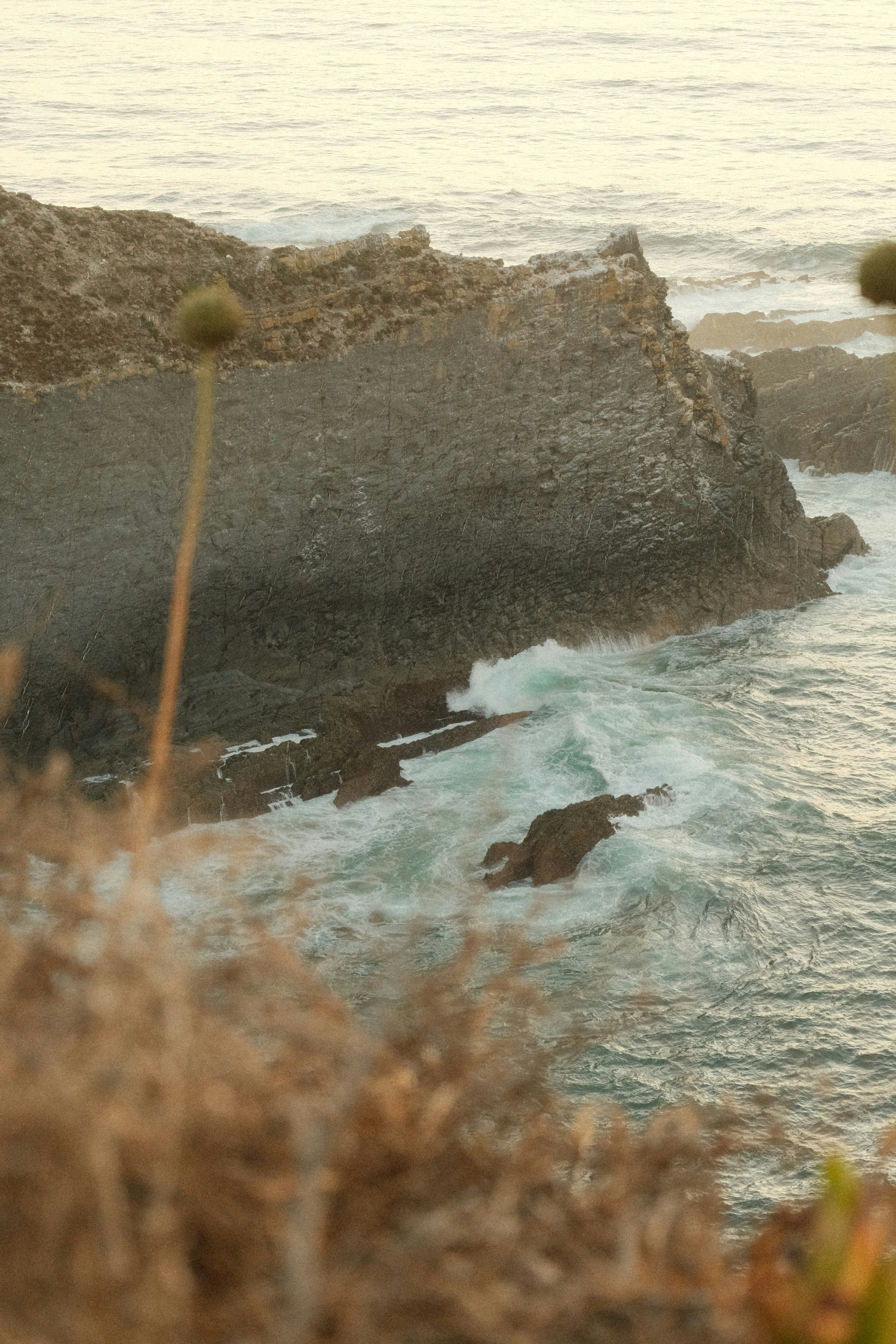 Whispers of the Ocean's Edge