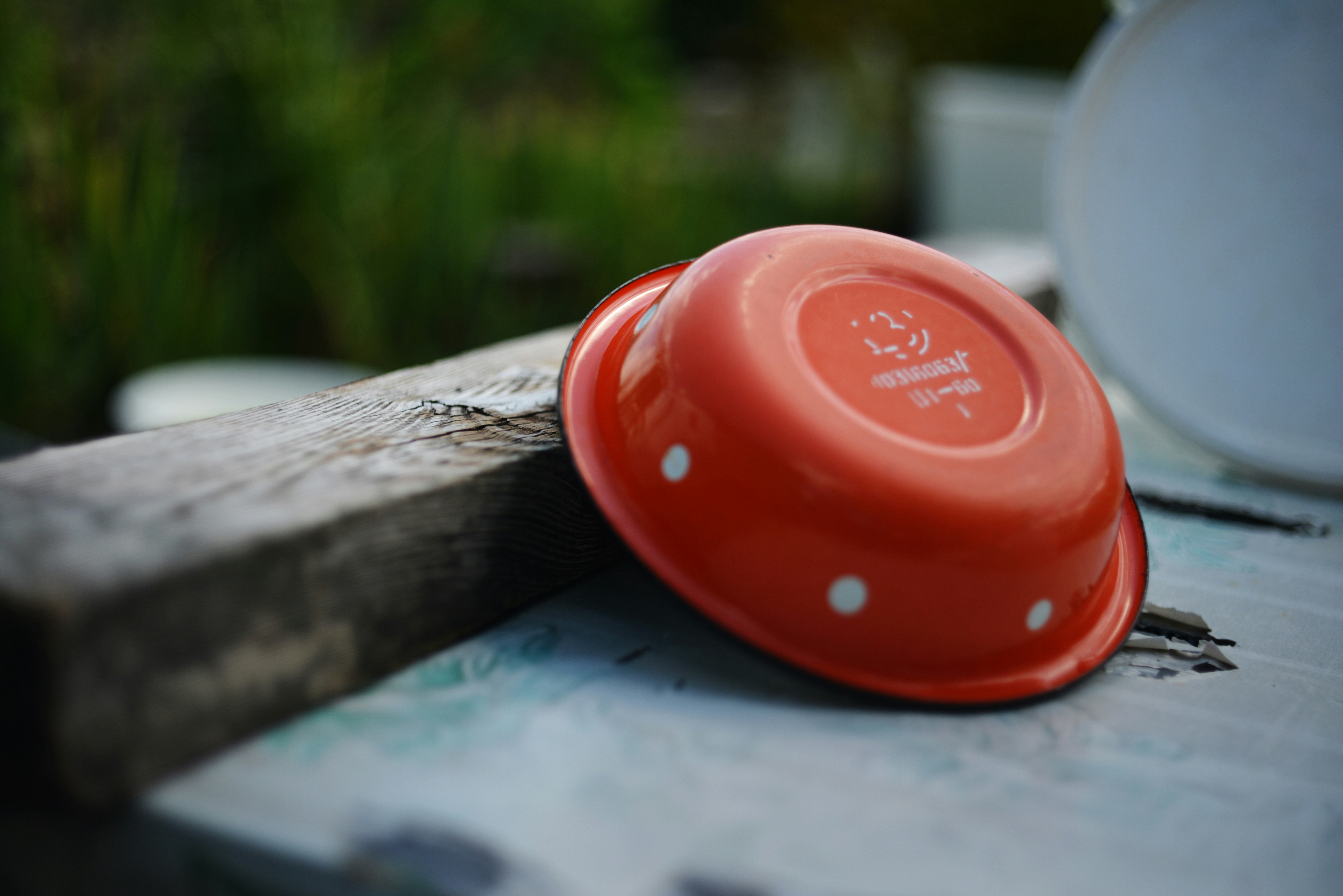 Whimsical Serenity: The Playful Bowl
