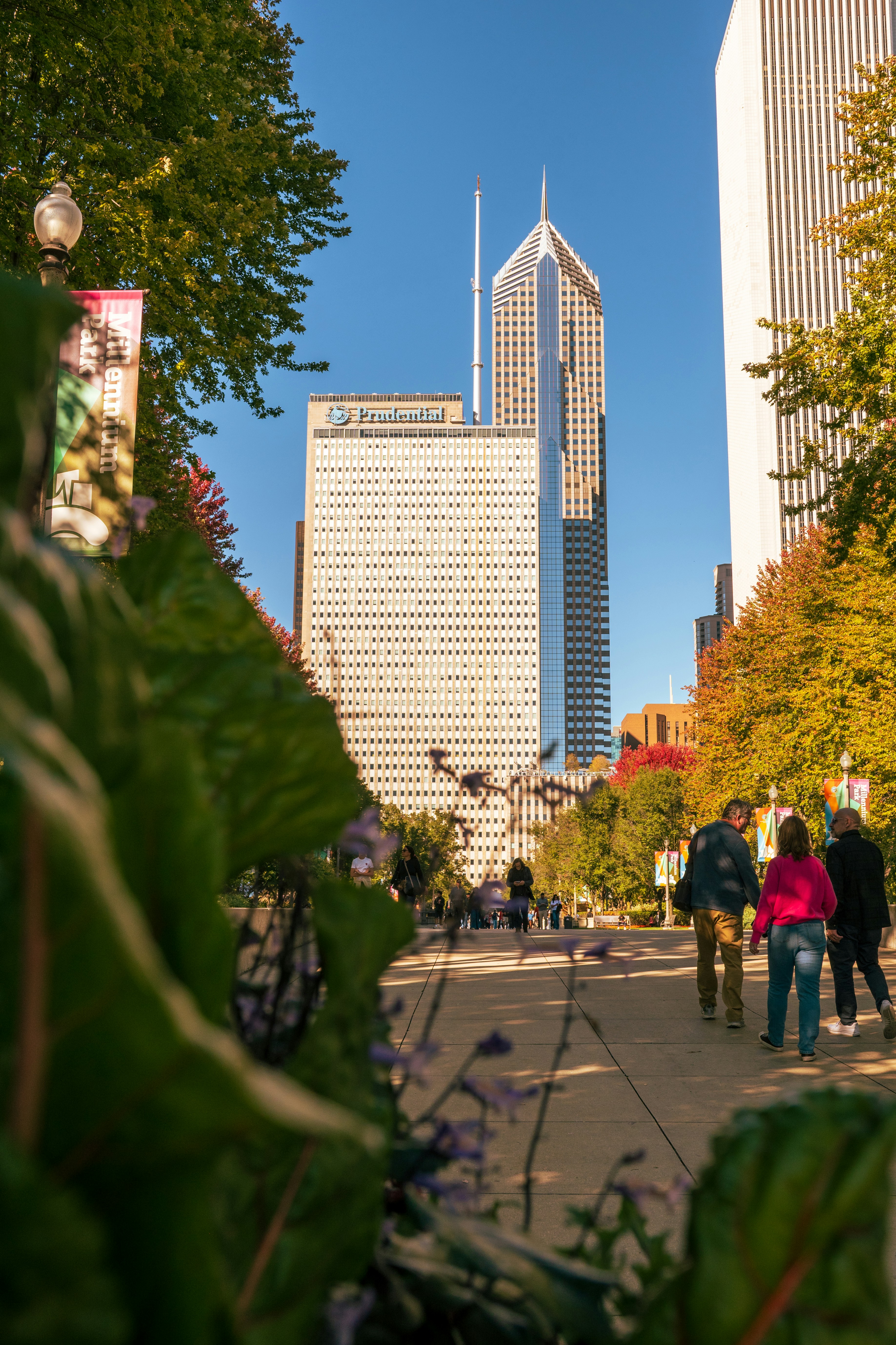 Urban Oasis: Nature Meets Architecture in Harmony