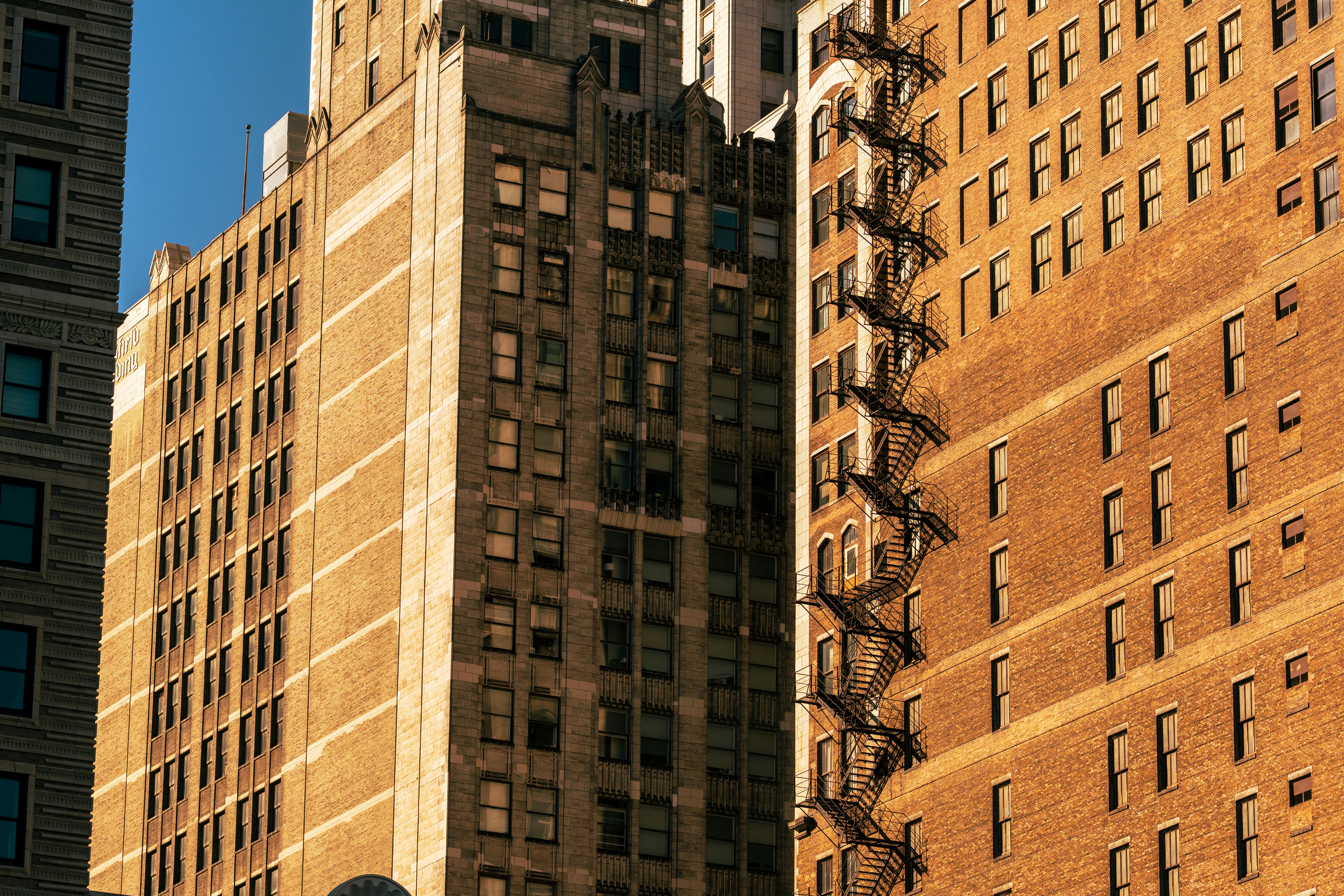 Skyscrapers bask in the warm sunlight.