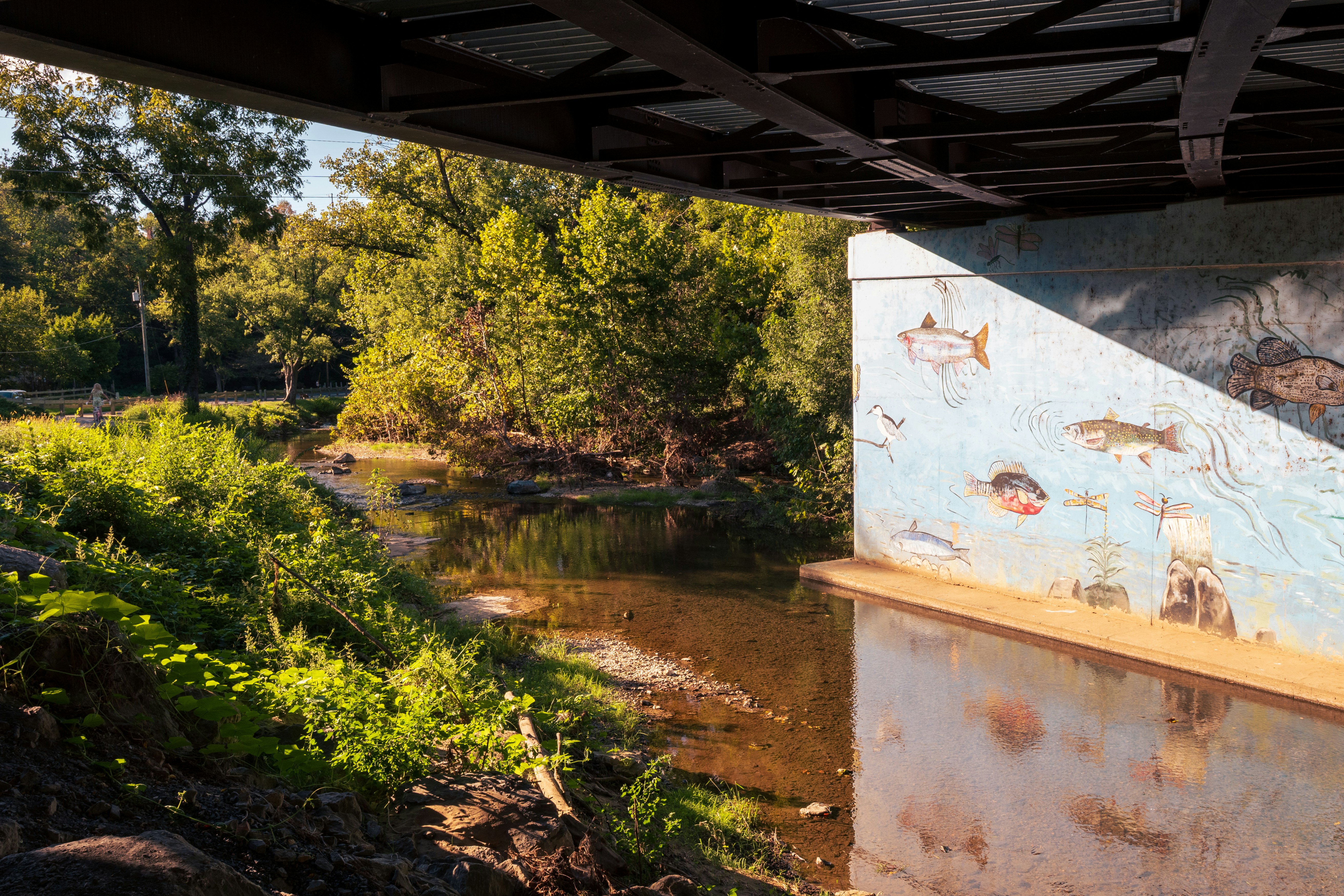 Vibrant mural depicting fish on a concrete wall under a bridge, surrounded by lush greenery and a tranquil stream reflecting the artwork.